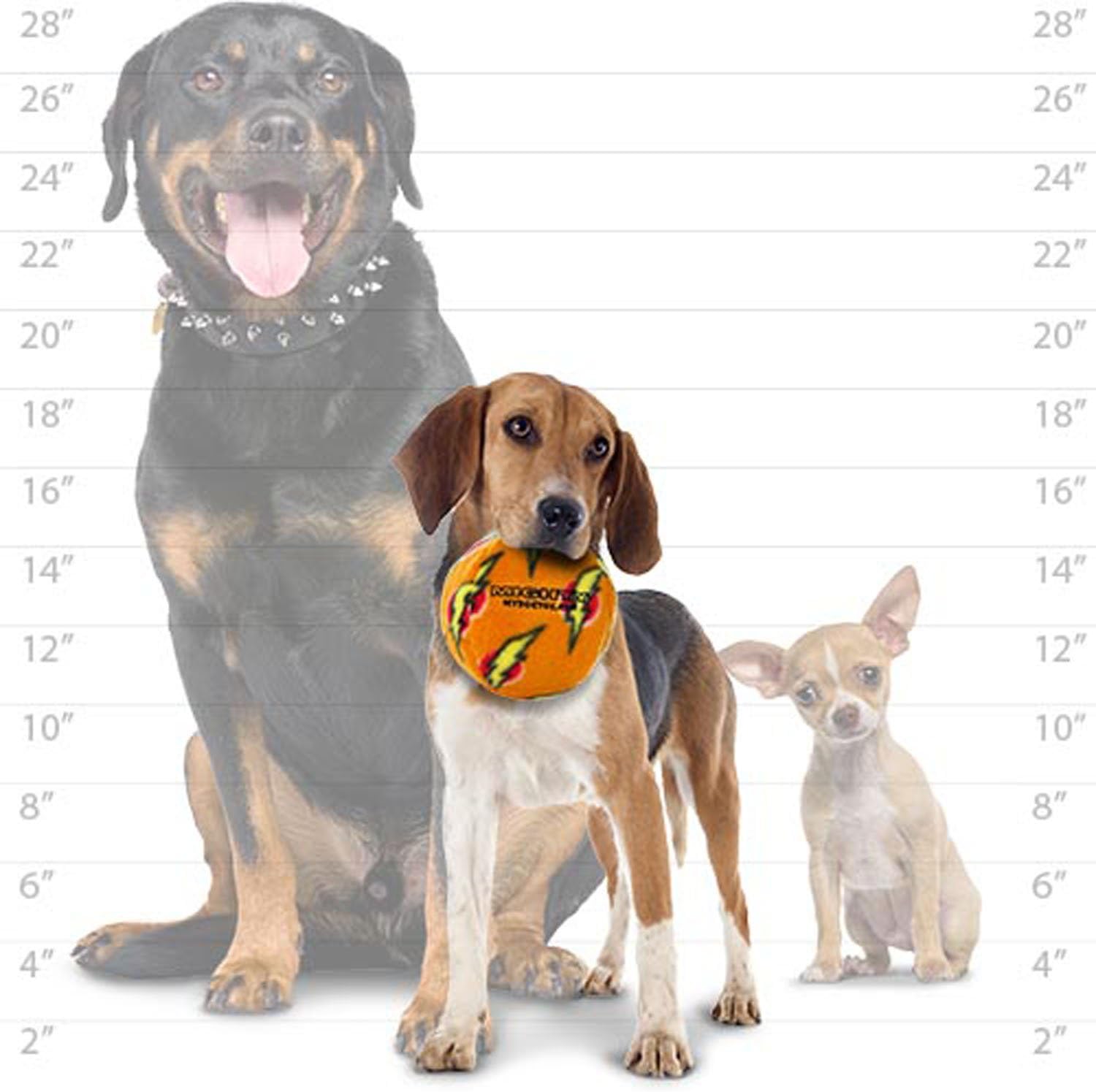 Tuffy Mighty Ball, Medium, Orange – BigaMart