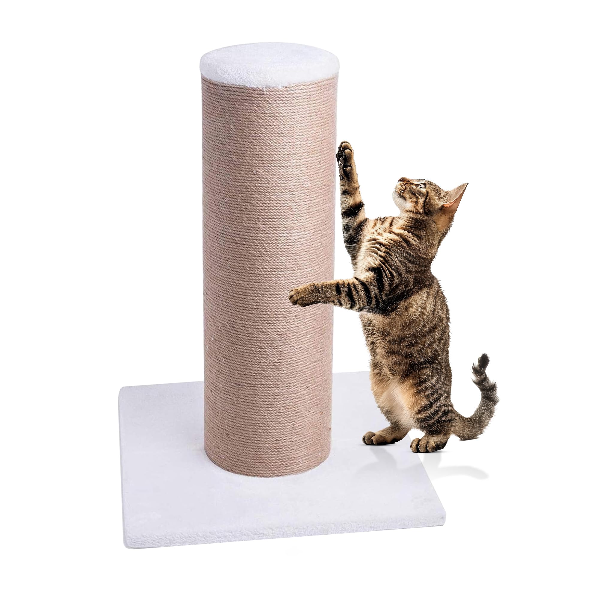 CA&T Ultimate Fat Boy Cat Scratching Mega Post | Scratching Post For ...