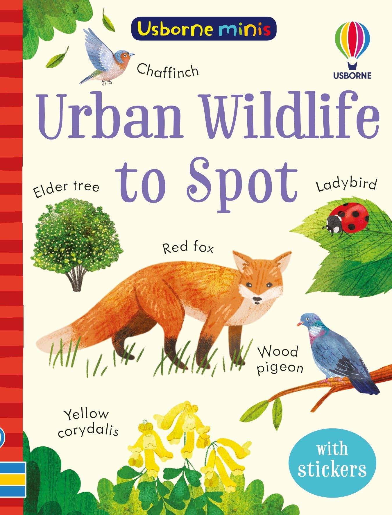 Urban Wildlife to Spot (Usborne Minis): Nolan, Kate: 9781803704746 ...