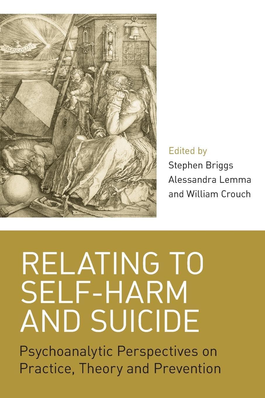 Relating to Self-Harm and Suicide: Psychoanalytic Perspectives on ...
