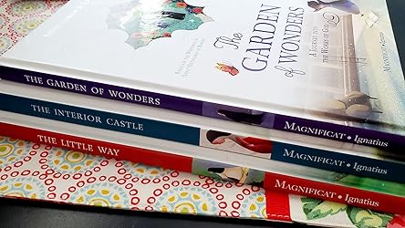 Amazon.com: The Interior Castle: A Boy's Journey into the Riches of Prayer: 9781621644248 ...