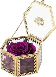 Amazon.com: Mothers Day Flowers,Preserved Flower Rose,Never Withered ...