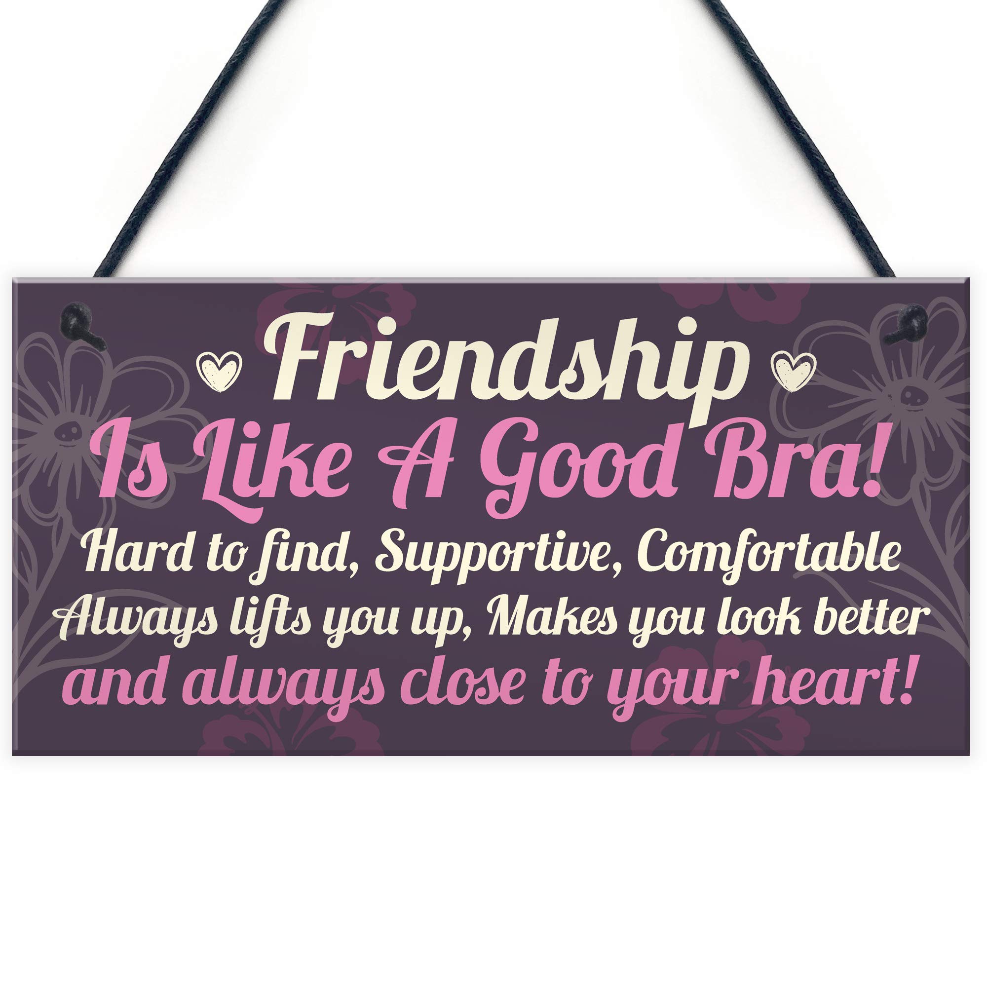 RED OCEAN Handmade Funny Friendship Sign Best Friend Shabby Chic Plaque ...