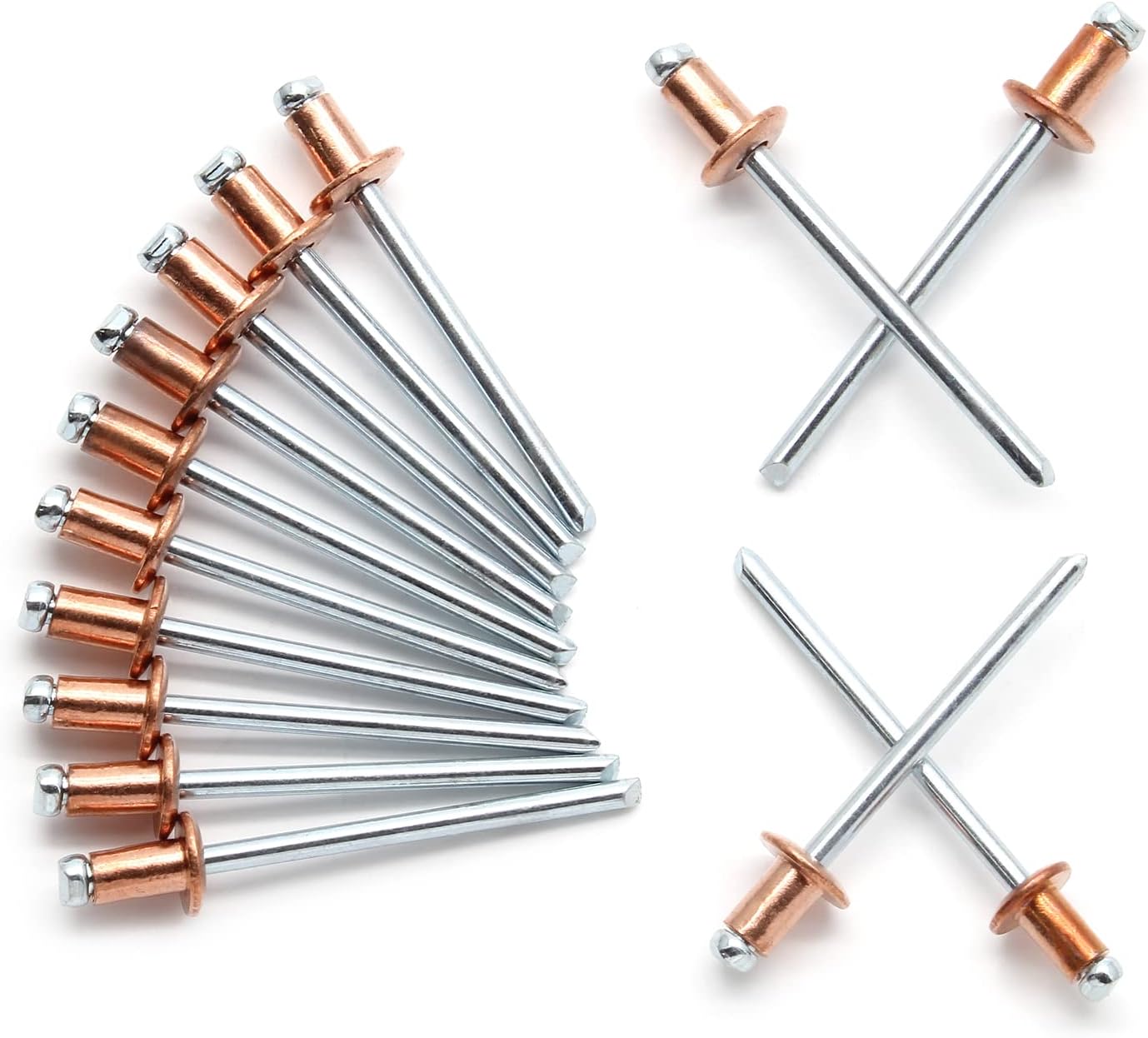 Amazon.com: Metal Magery 50 Copper Pop Rivets 4-2 (1/8"Diameter x 1/8 ...