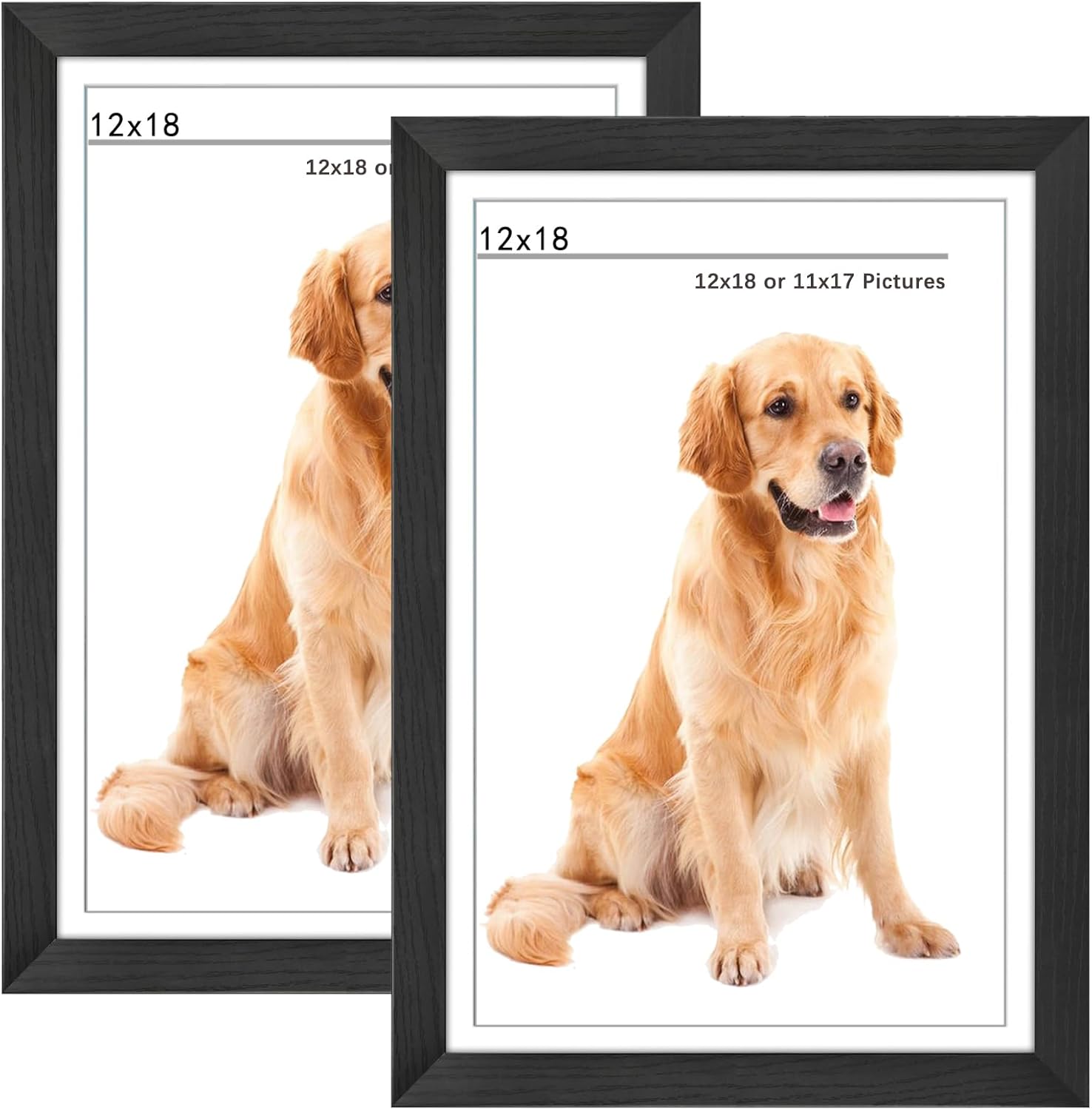 12x18 Picture Frames 2 Pack,Poster Frames Display Poster 11x17 with Mat ...