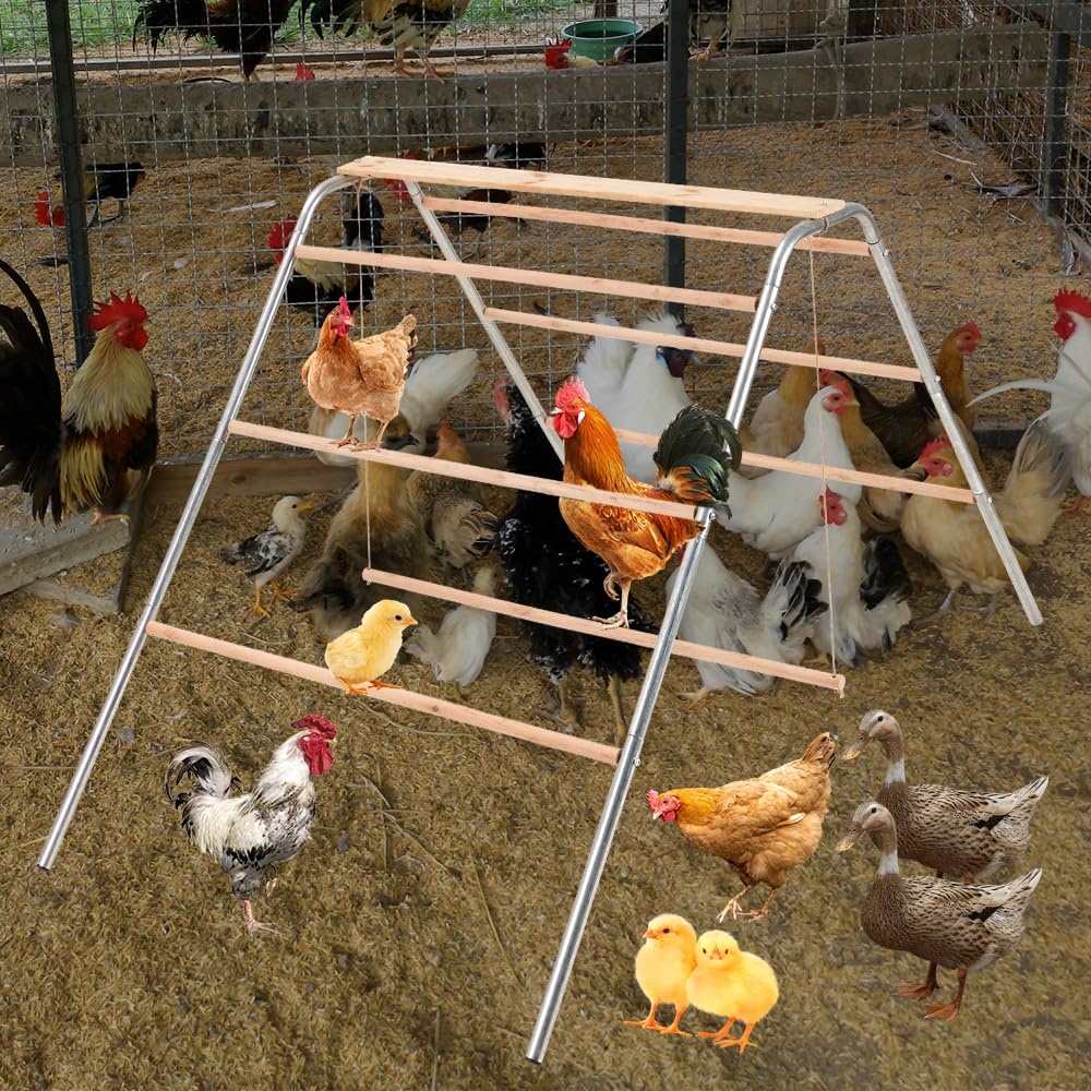 Amazon.com: Chicken Perch Ladder for Coop, Wooden Chicken Roosting Bars ...