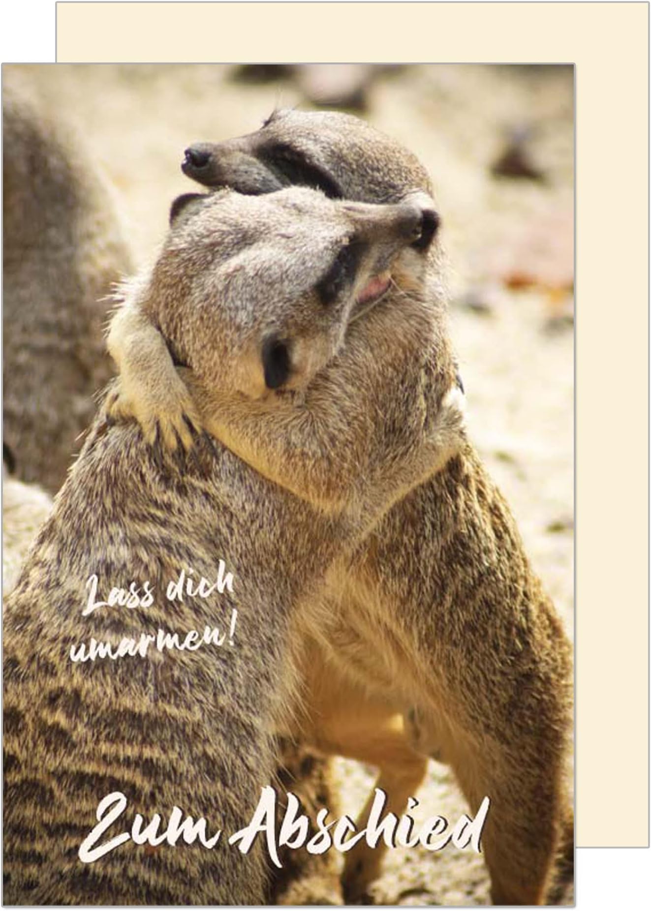 Edition Seidel Premium Glückwunschkarte zum Abschied mit Umschlag ...