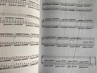 Hanon - The Virtuoso Pianist in 60 Exercises: Complete, Comb-Bound Book ...