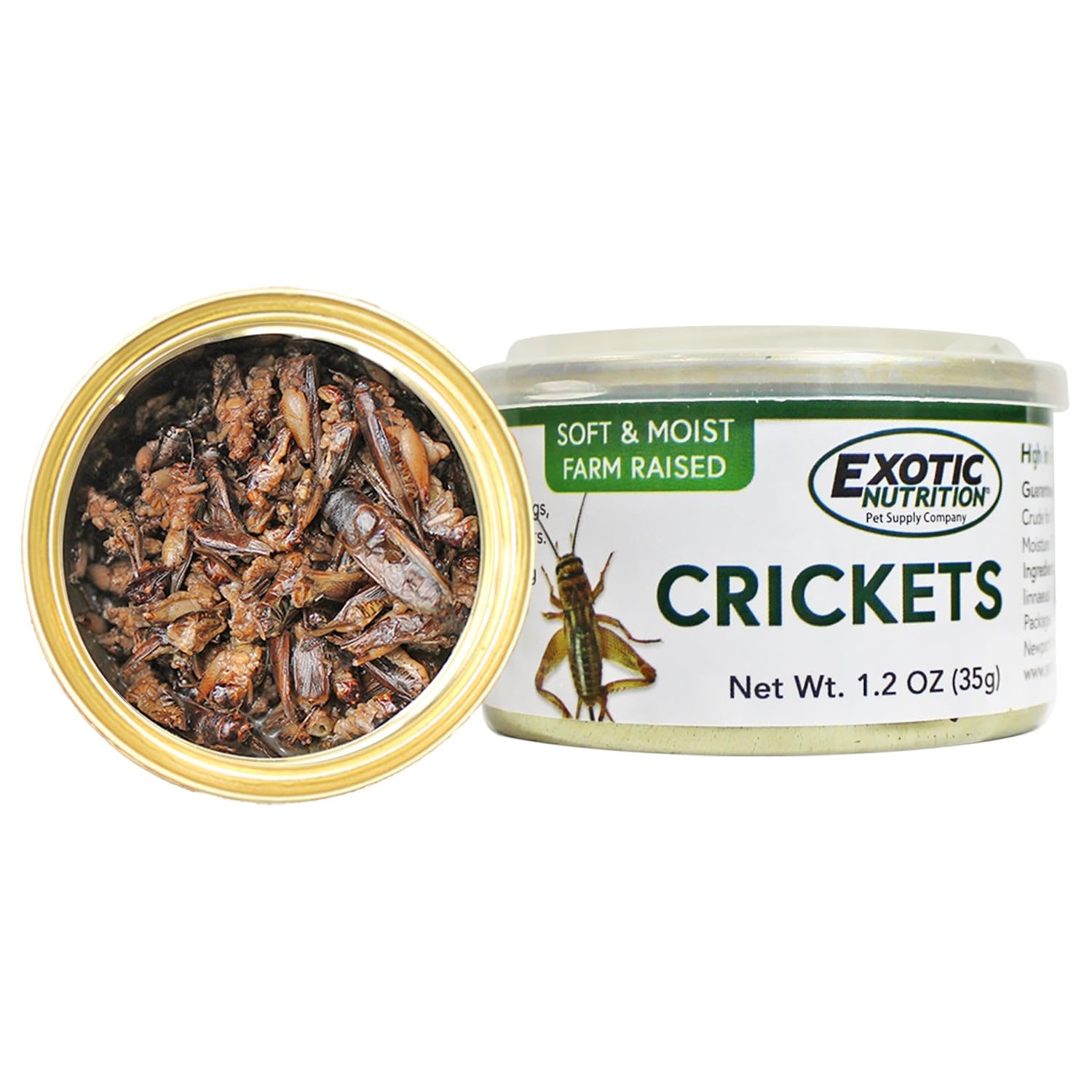 Insect Protein Canned Silkworm Pupae - High Protein Insect Treat For ...