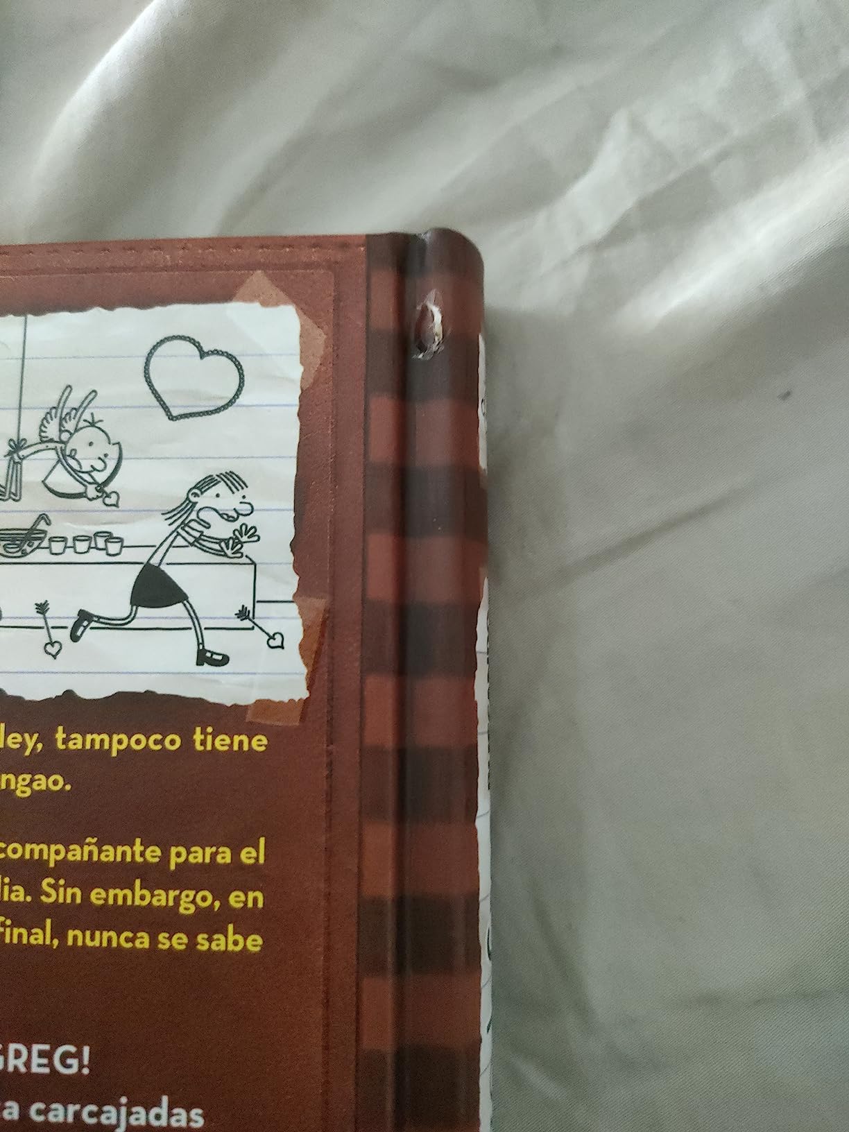 Diario de Greg 7: Buscando plan (Universo Diario de Greg) : Kinney ...