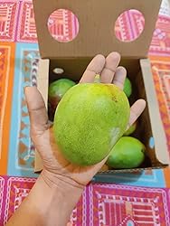 Fresh Mango, Sindhura (Lalbagh), 1 kg : Amazon.in: Grocery & Gourmet Foods