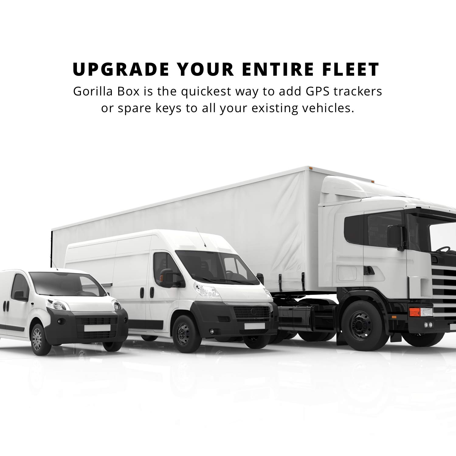 Snapklik.com : Gorilla Box - Hide A Key Outside