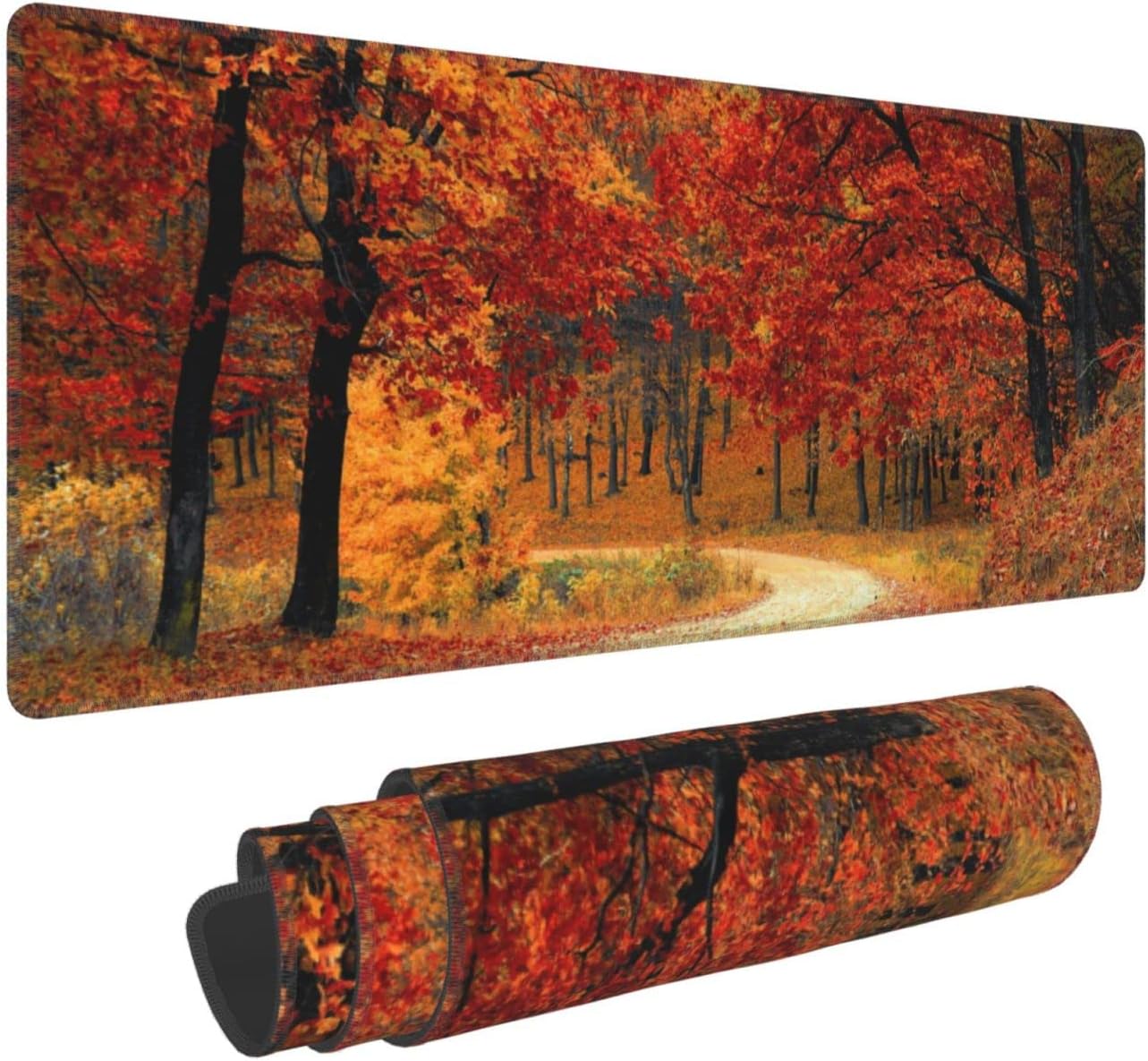 Amazon.com: Autumn Fall Season Nature Landscape Forest Alley Trees ...