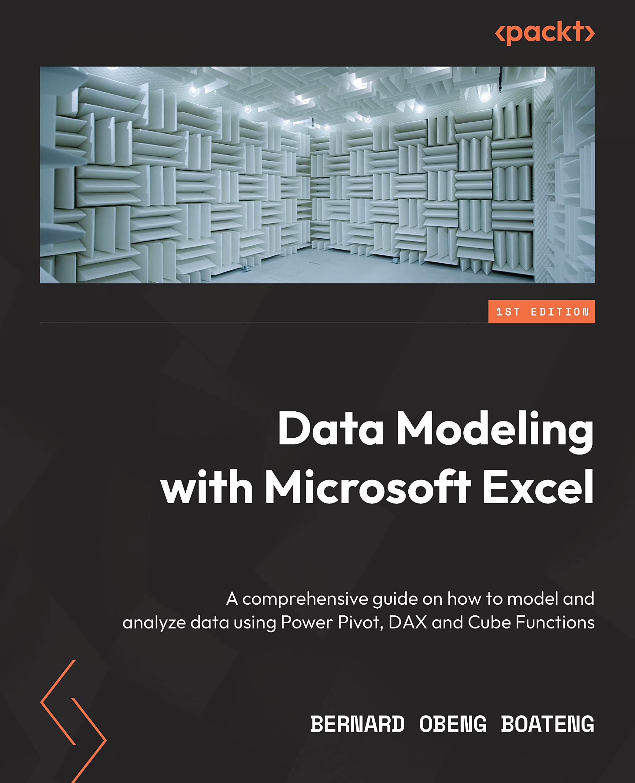 Data Modeling With Microsoft Excel Model And Analyze Data Using Desertcart India