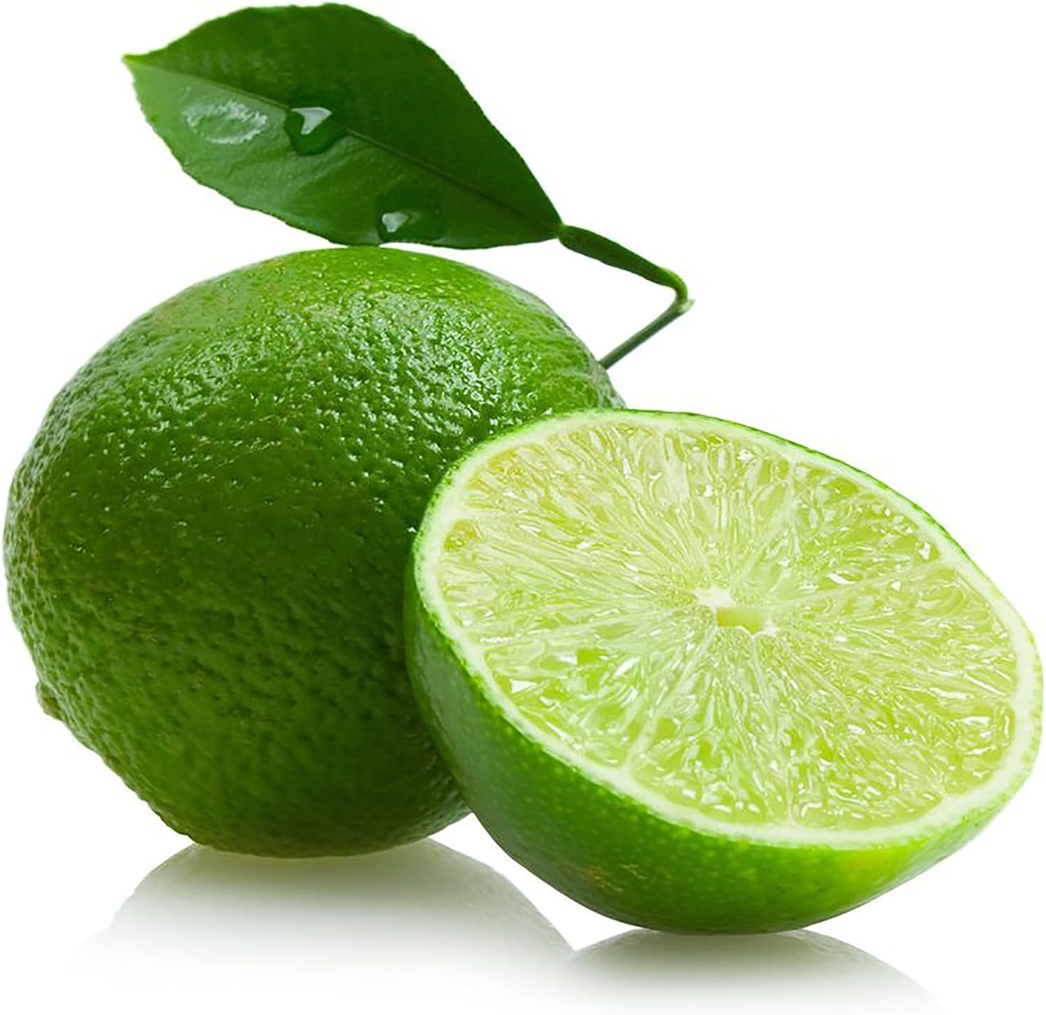 Amazon.com : QAUZUY GARDEN 5 Key Lime Tree Seeds, Acid Lime, West ...