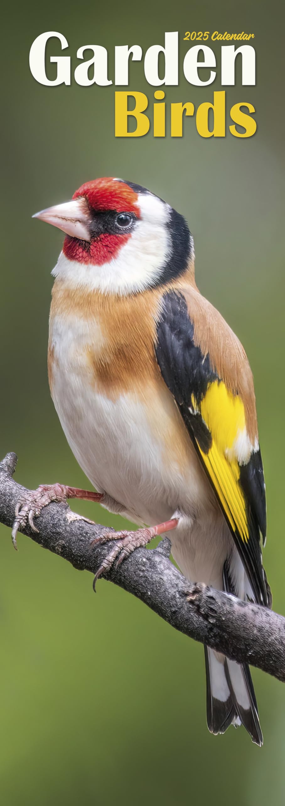Garden Birds Slim 2025 Slimline Wall Calendar | Bird, Animal Calendar ...