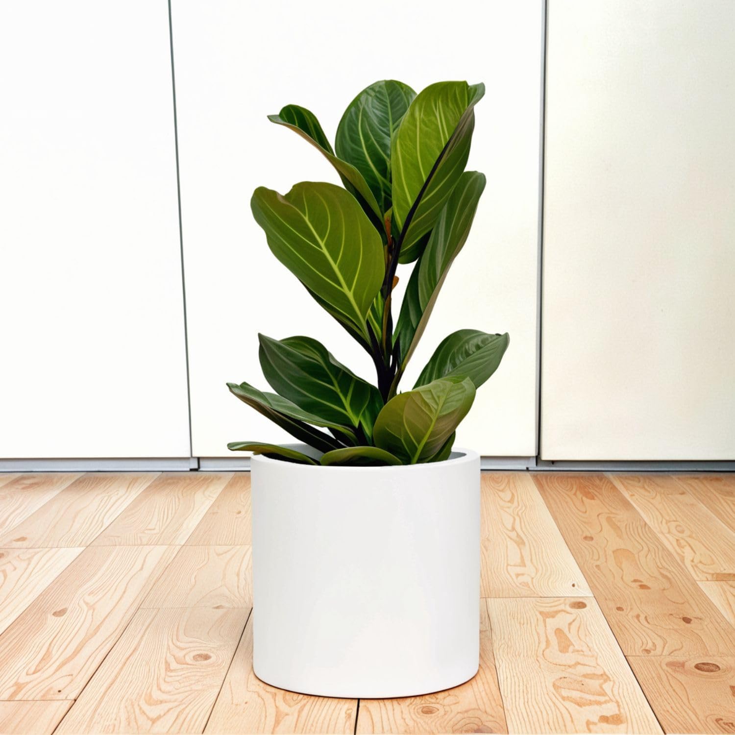 Amazon.com: Fox & Fern 10 Inch Plant Pot with Drainage Plug — Premium ...