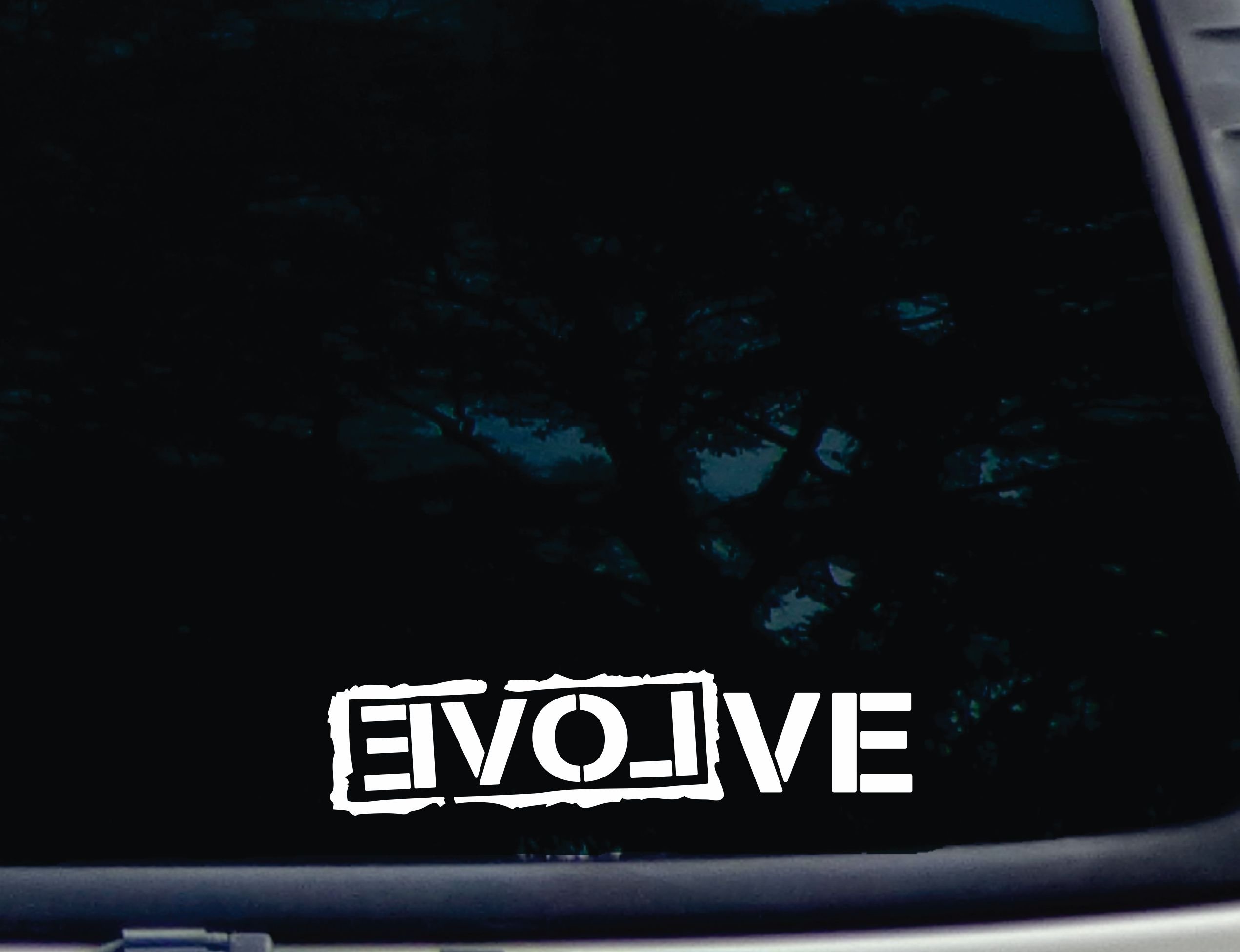Amazon.com: Evolve & Love - 8" x 2" die Cut Vinyl Decal/Sticker for ...