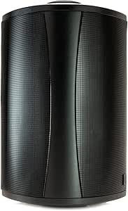 Definitive Technology AW5500 Outdoor Speaker - 5.25-inch Woofer, 175 ...