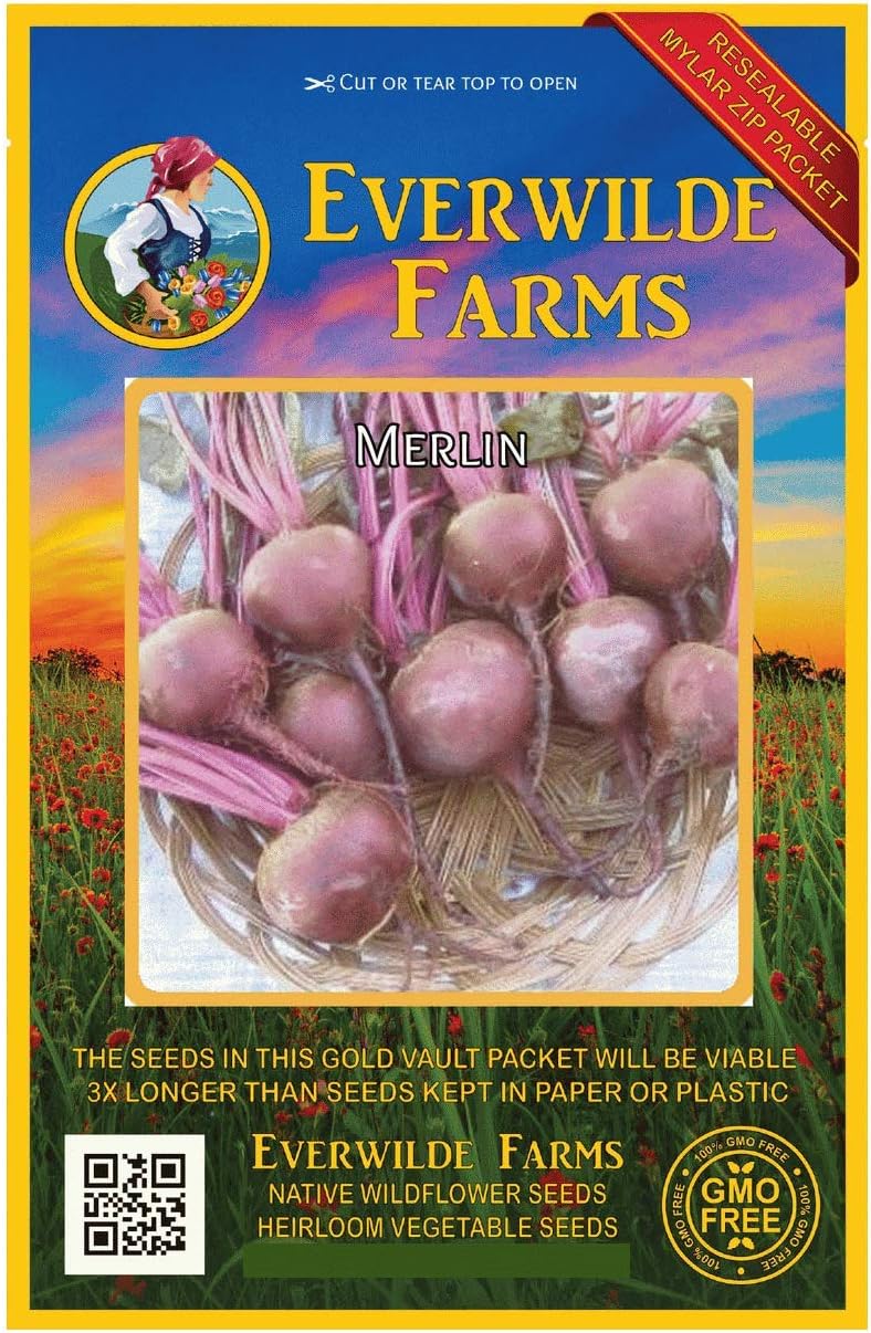 Amazon.com : Everwilde Farms - 200 Merlin Beet Seeds - Gold Vault Jumbo ...