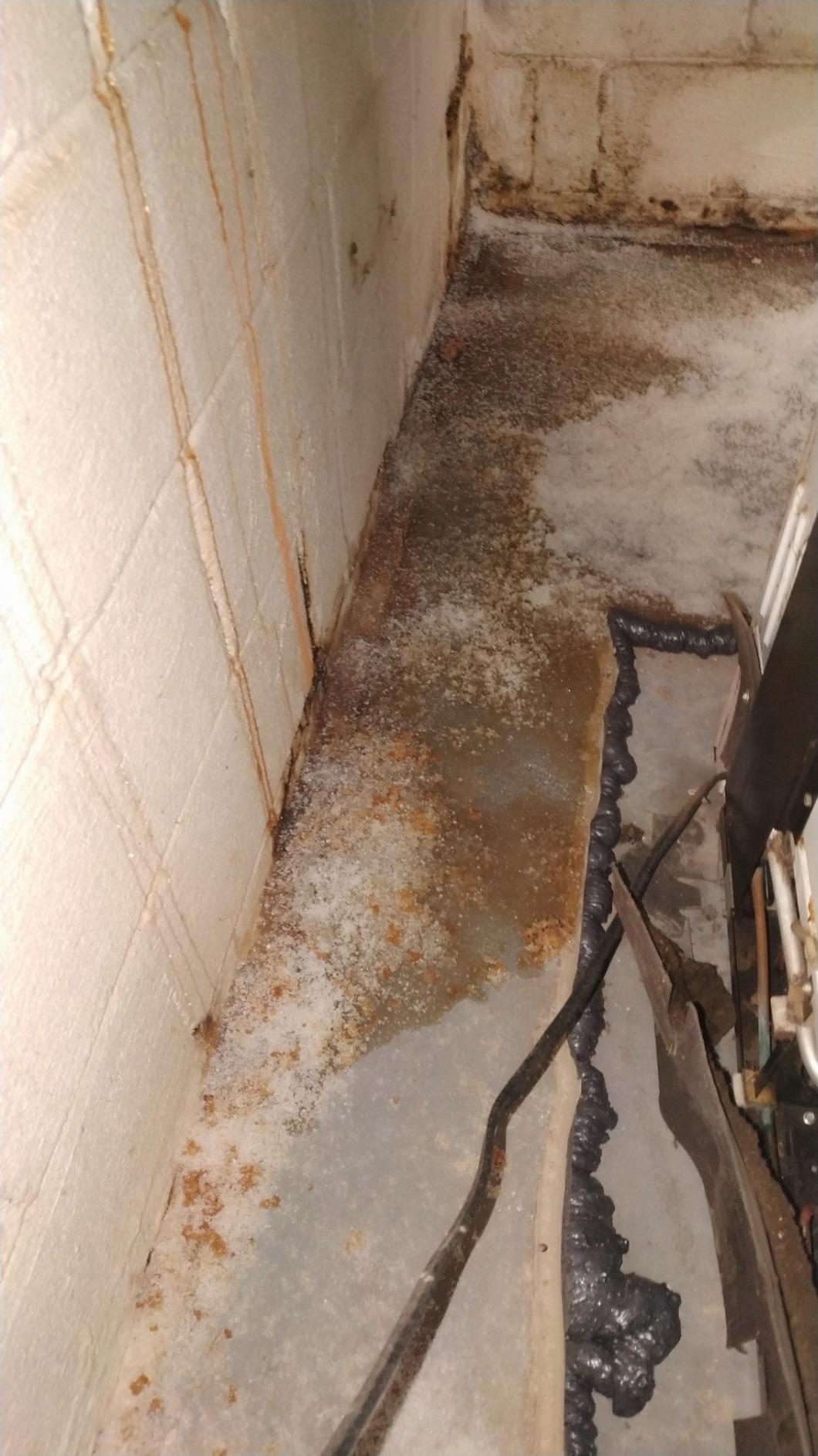 Amazon.com : Water Absorbing Crystals Polymer - 5 Lbs. : Patio, Lawn ...