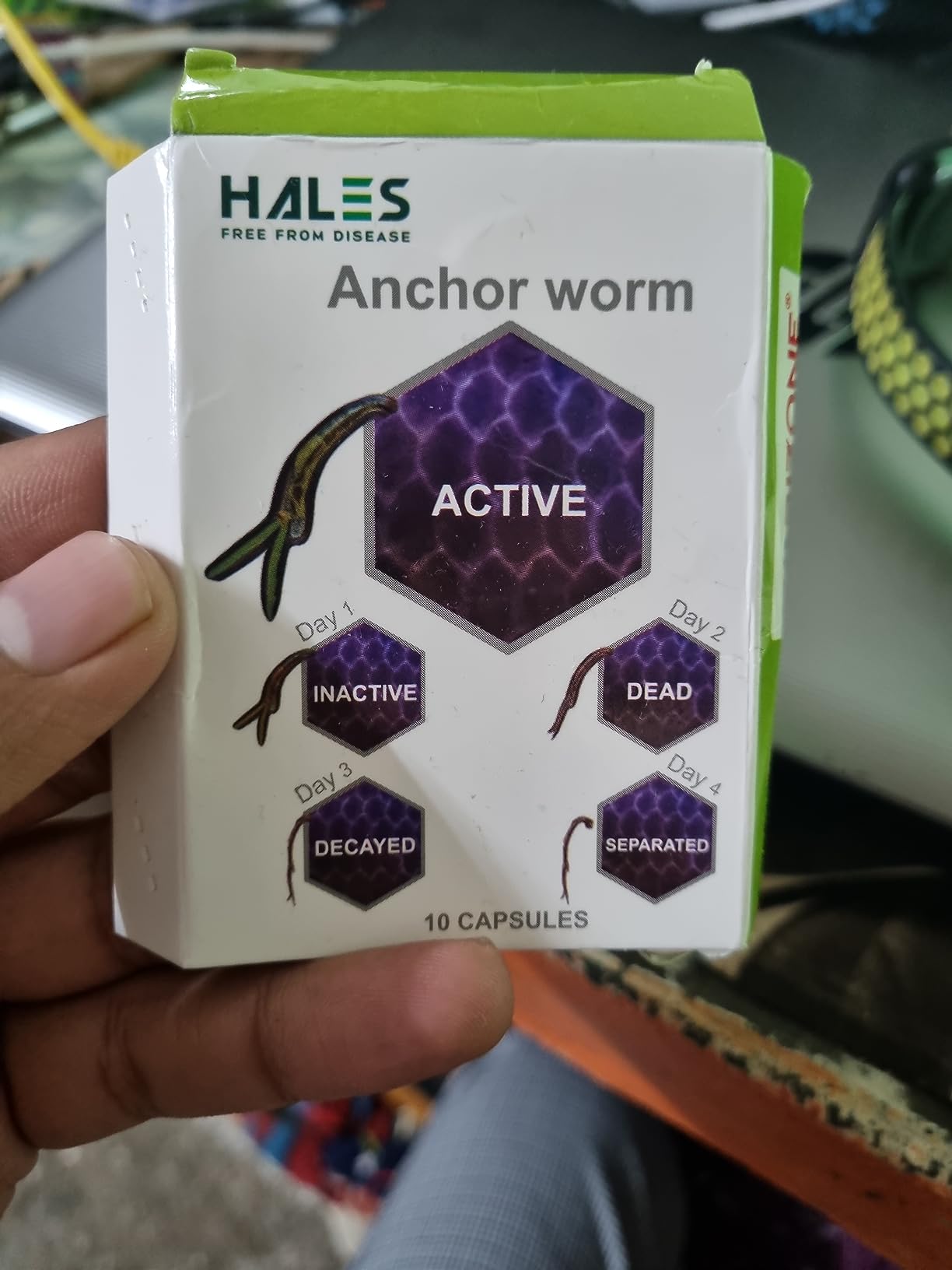 Buy VAYINATO Horizone Hales Anchor Worm Aquarium Fish External Parasite ...