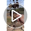 Amazon.com : Coconut Shell Wind Chimes Outdoor, Handmade Wooden Wind ...
