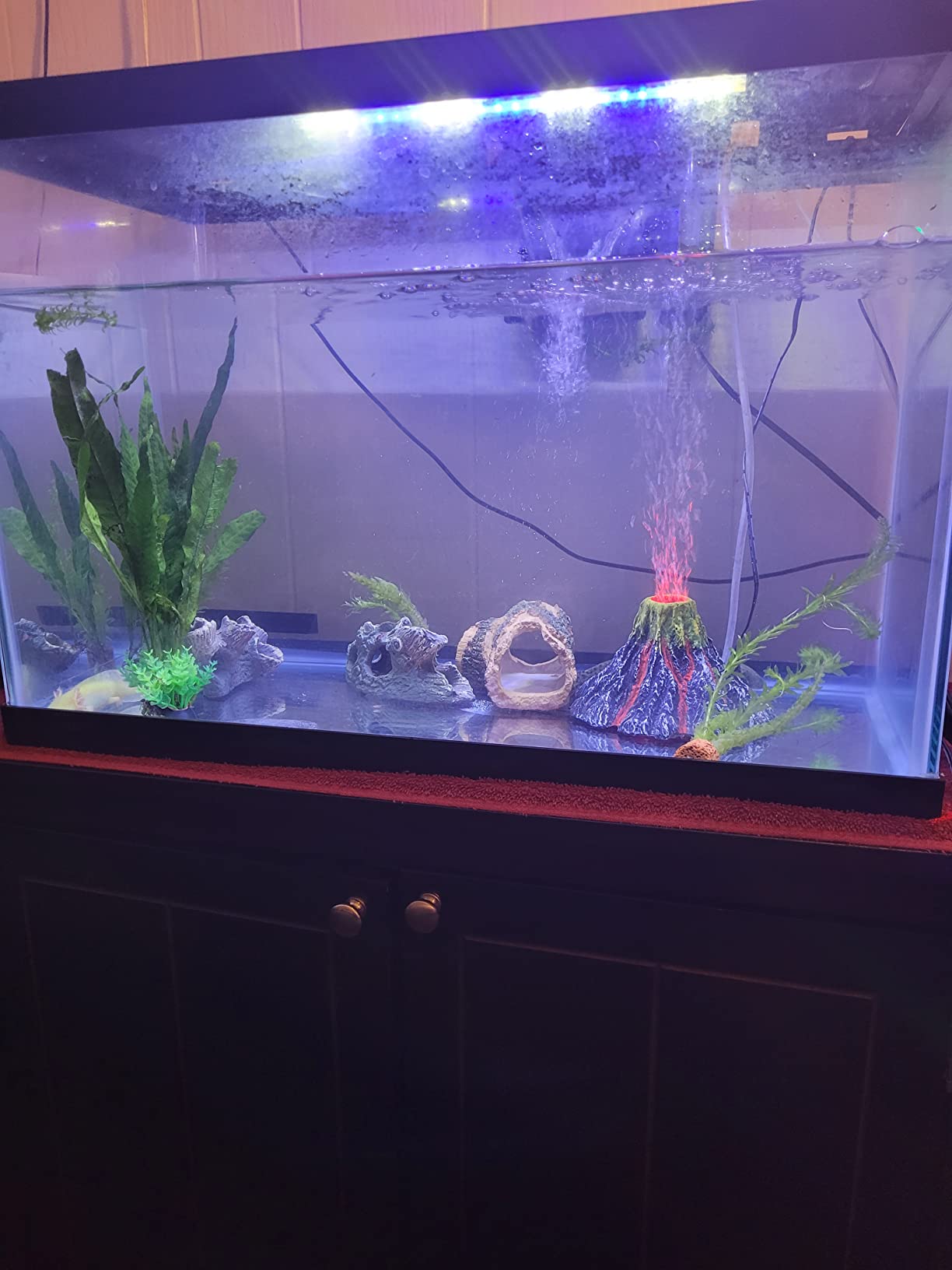 $22/mo - Finance GloFish 20 Gallon Aquarium Kit with LED Lights, Decor ...