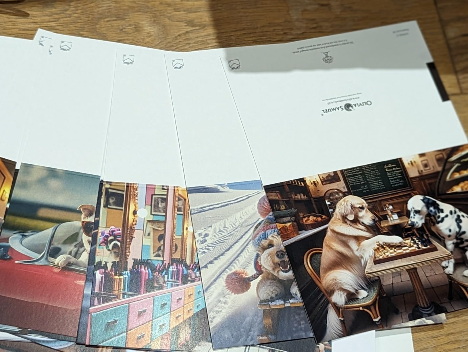 12 x Funny Dog Greetings Cards Pack. Great for Birthday and Thank You ...