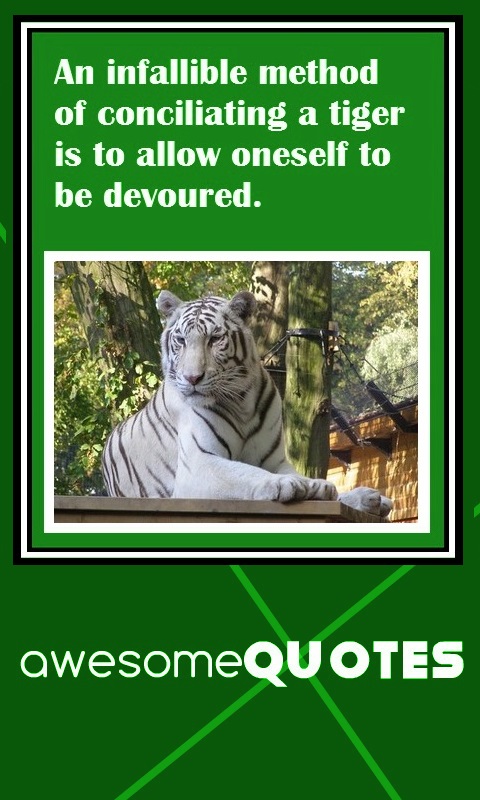 White Tiger Quotes Framed Canvas Wall Art, White Tiger Art, Funny Cat