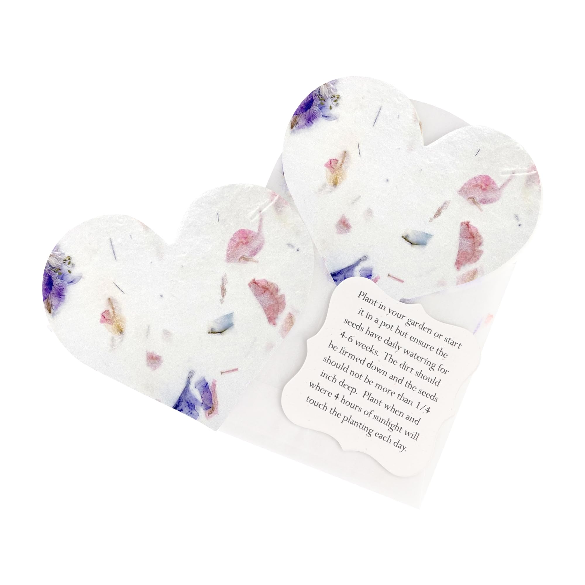 Amazon.com: Set of 24 Plantable Wildflower Seed Paper – 24 Heart ...