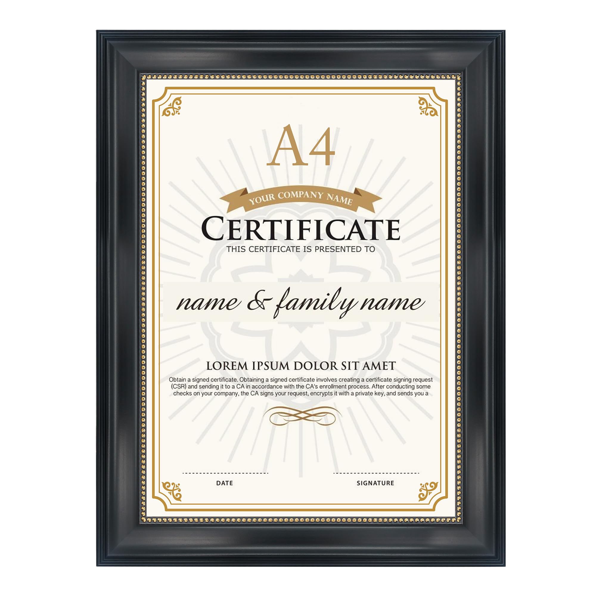 Buy FrameProDegree Certificate Frame A4 Graduation Diploma Gold Bead ...