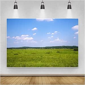 Amazon.com: Fulvit for Nature Theme Photography Backdrop Grassland Sky ...