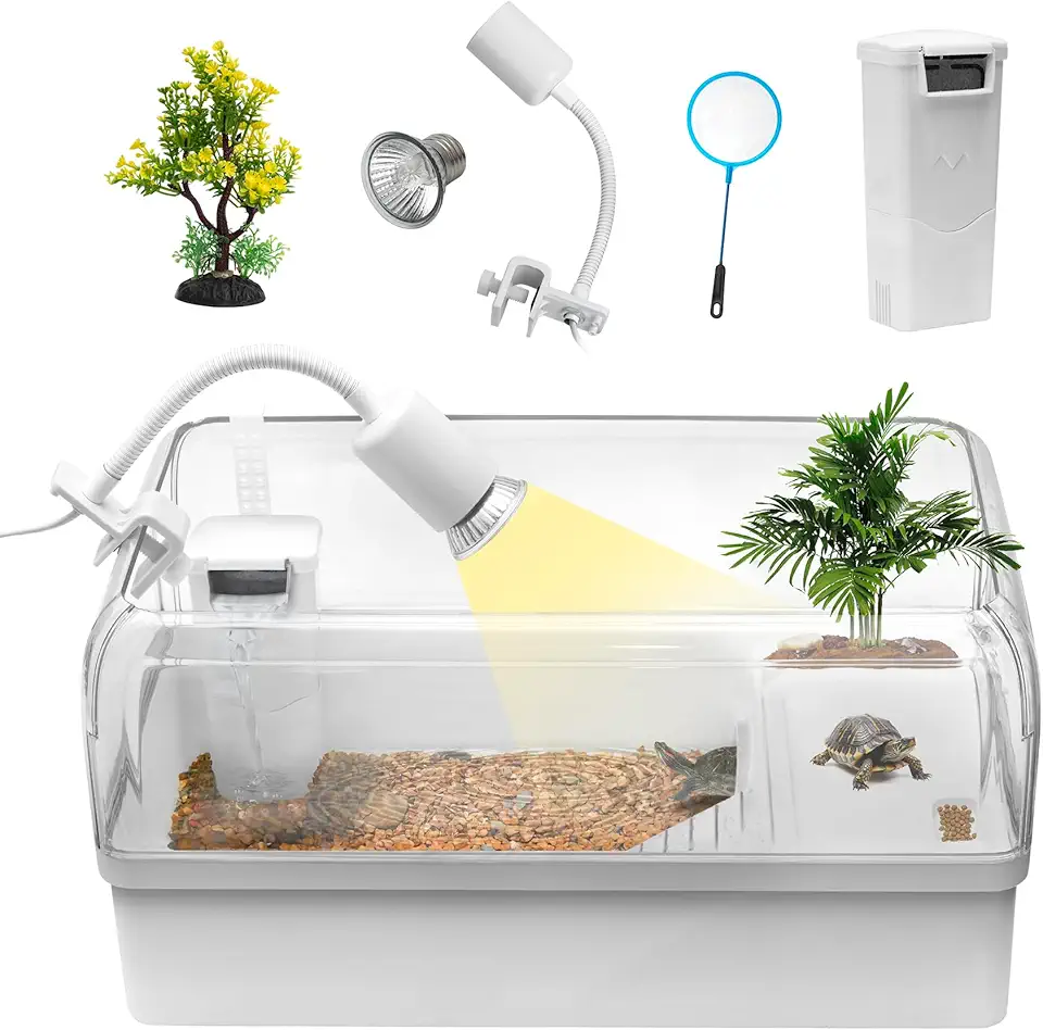 The Complete Guide To Setting Up A Tortoise Tank | PetShun