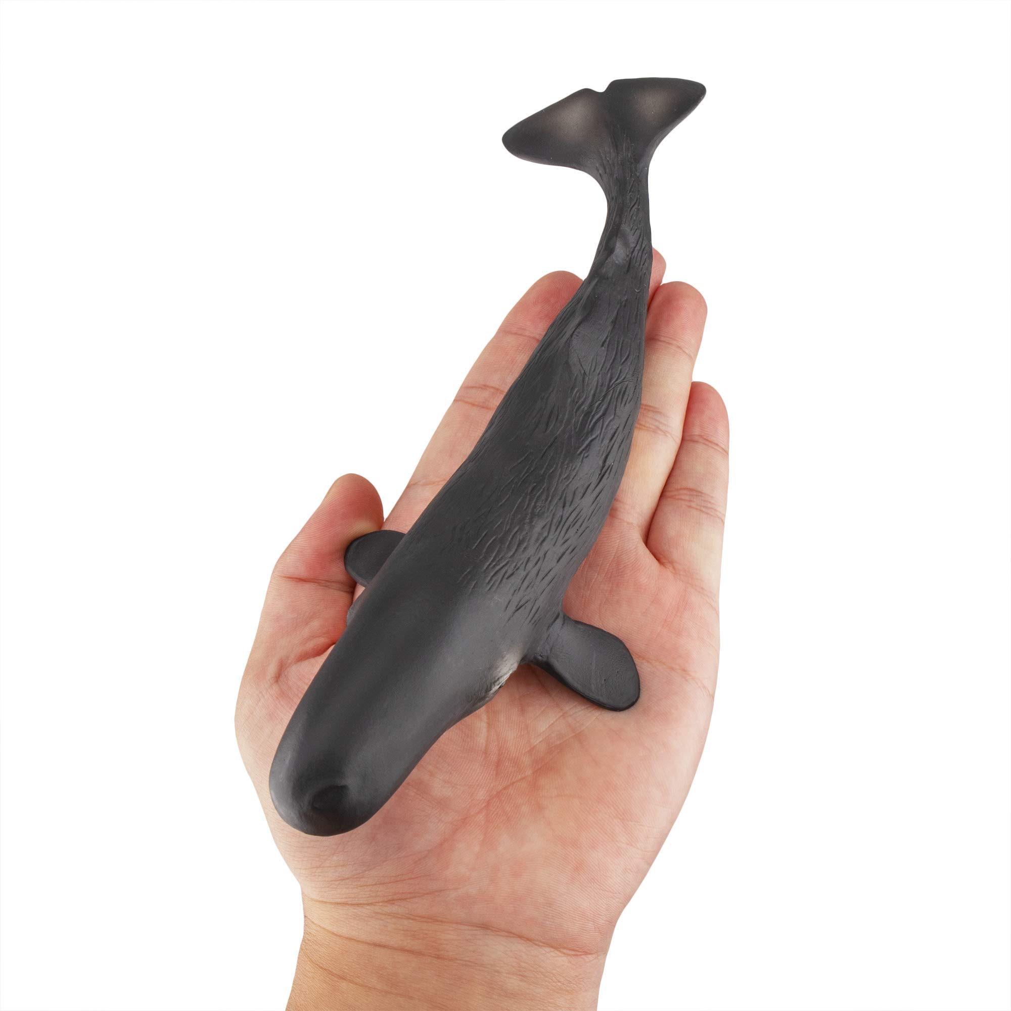 TOYMANY 8PCS 4-8" Large Sea Ocean Animals Figurines Bath Toy, Plastic ...