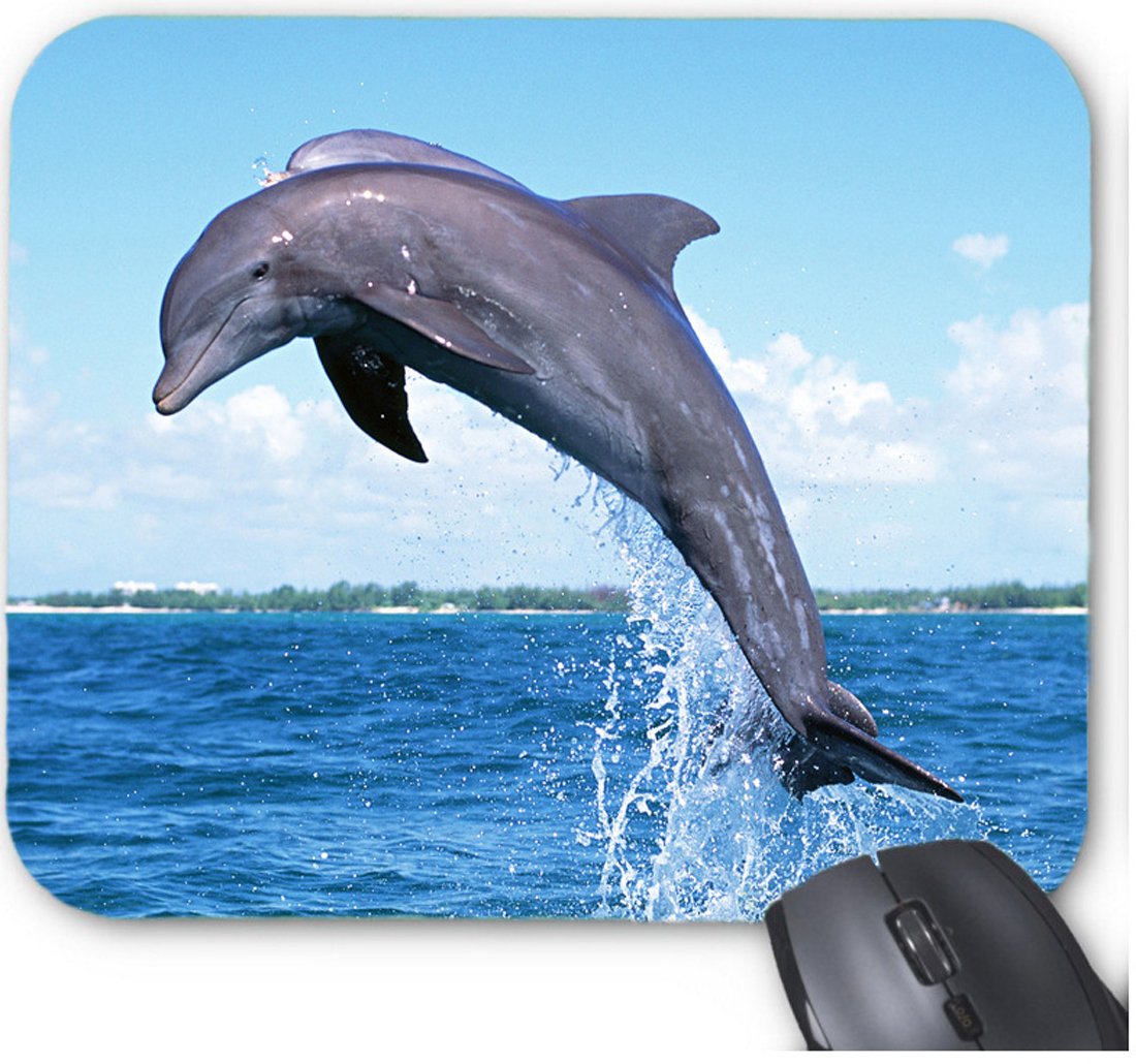 Dolphin Jumping Out Of Water Tattoos