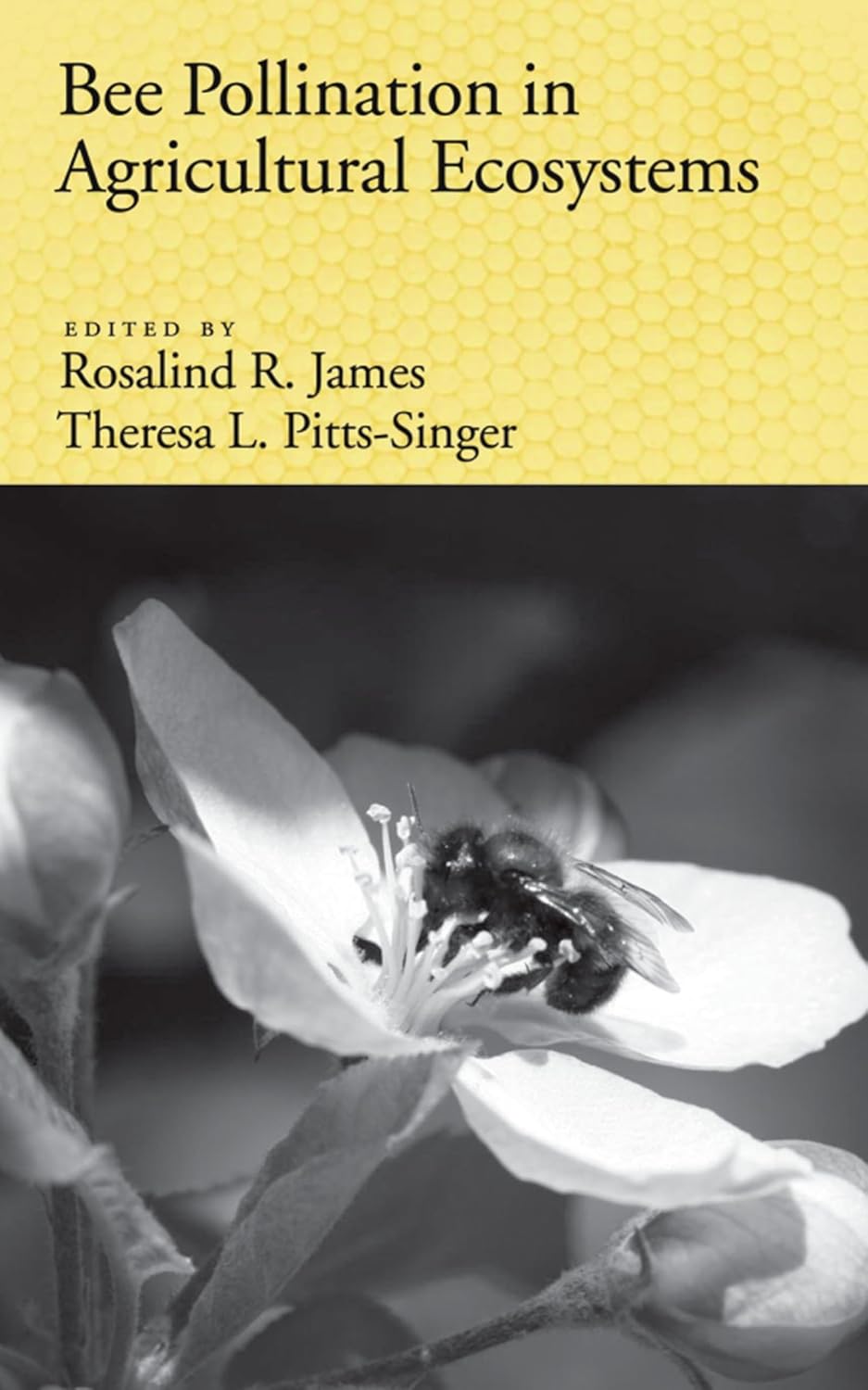 Amazon.com: Bee Pollination in Agricultural Ecosystems: 9780195316957 ...
