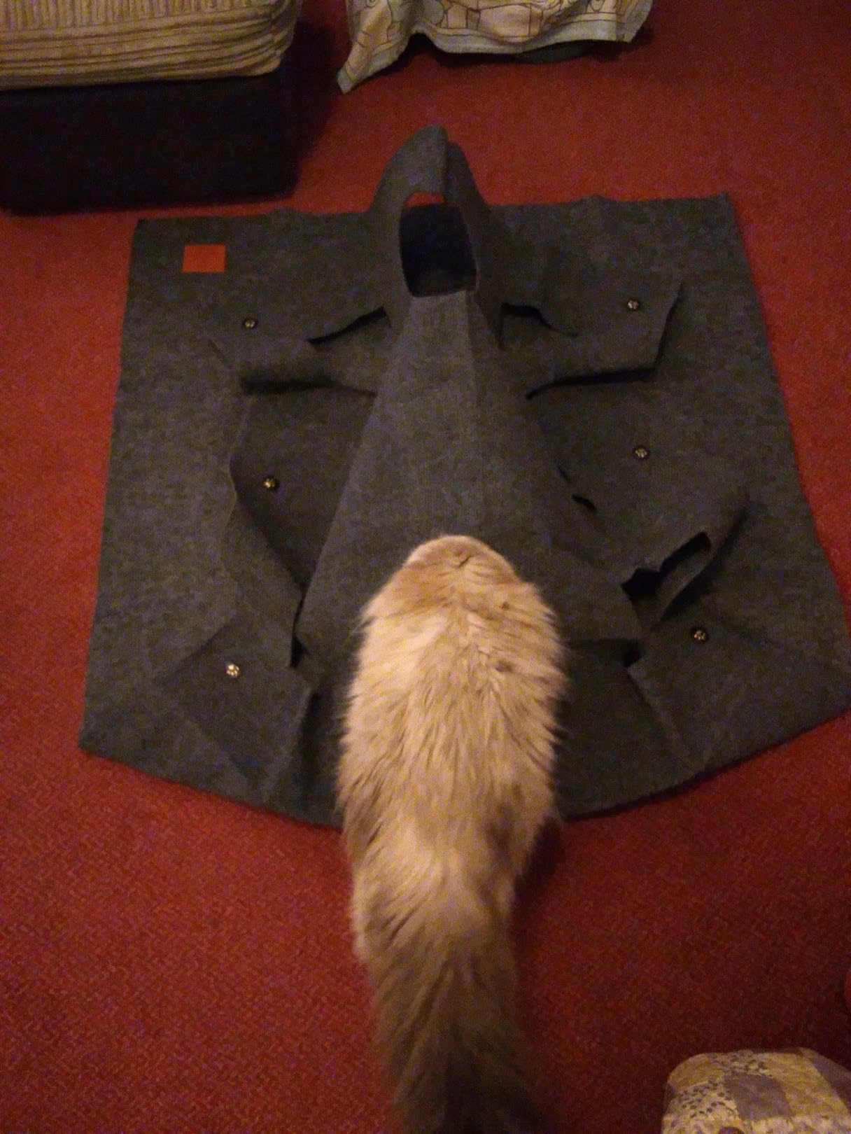 Moyubath Cat Play Mat,Collapsible Cat Activity Play Pad,Fun Interactive ...