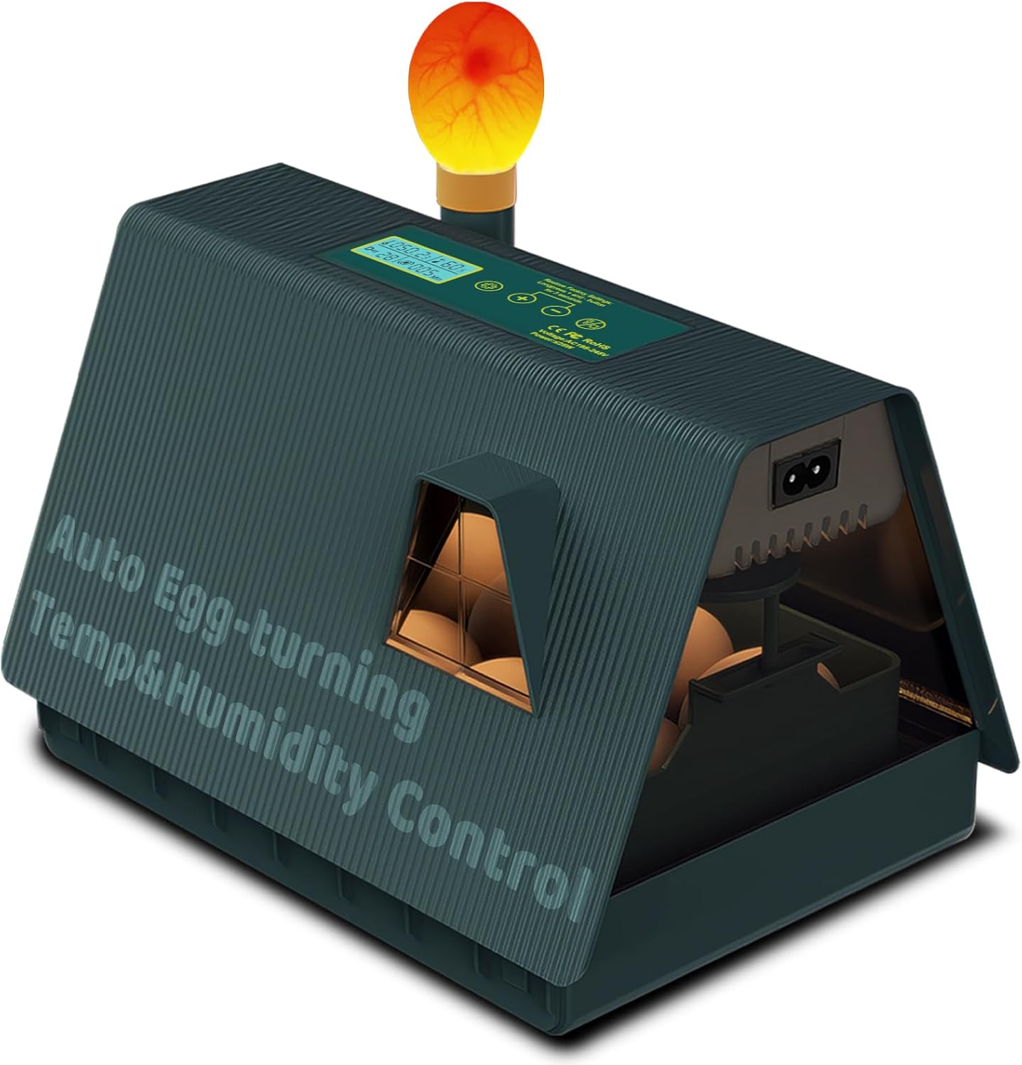 Amazon.com: CluchiEgg Incubators for Hatching Eggs, Automatic Egg ...