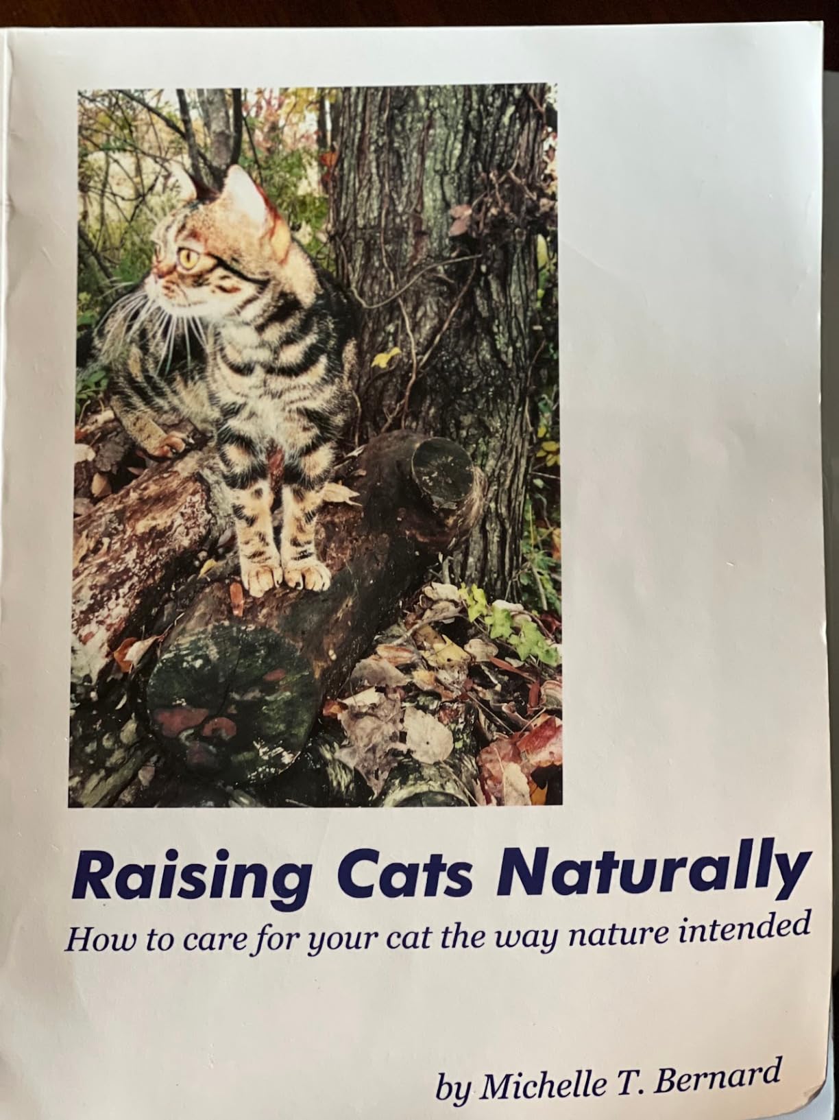 Raising Cats Naturally: How to care for your cat the way nature ...