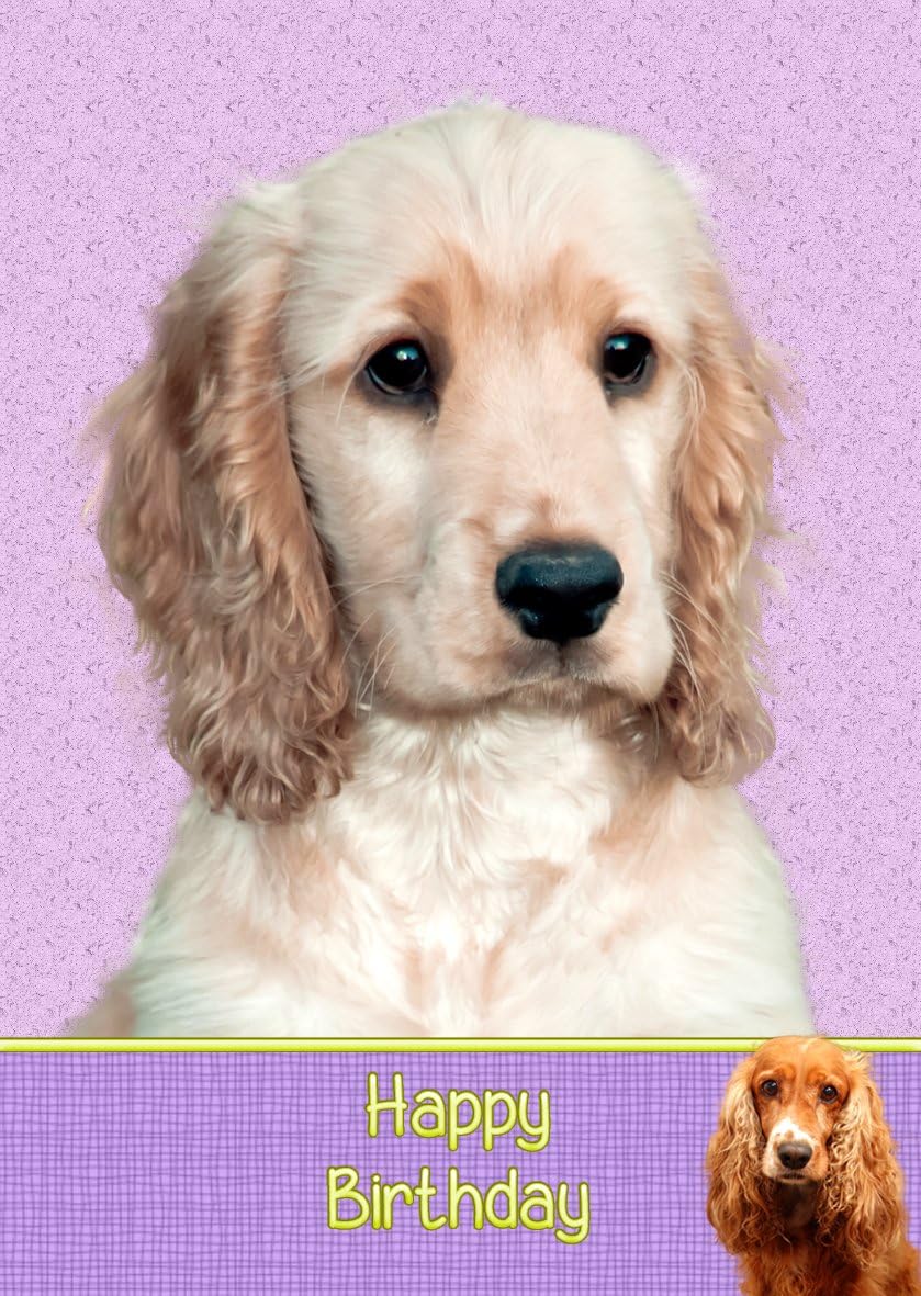 Cocker Spaniel (Black) Birthday Card : Amazon.co.uk: Stationery ...