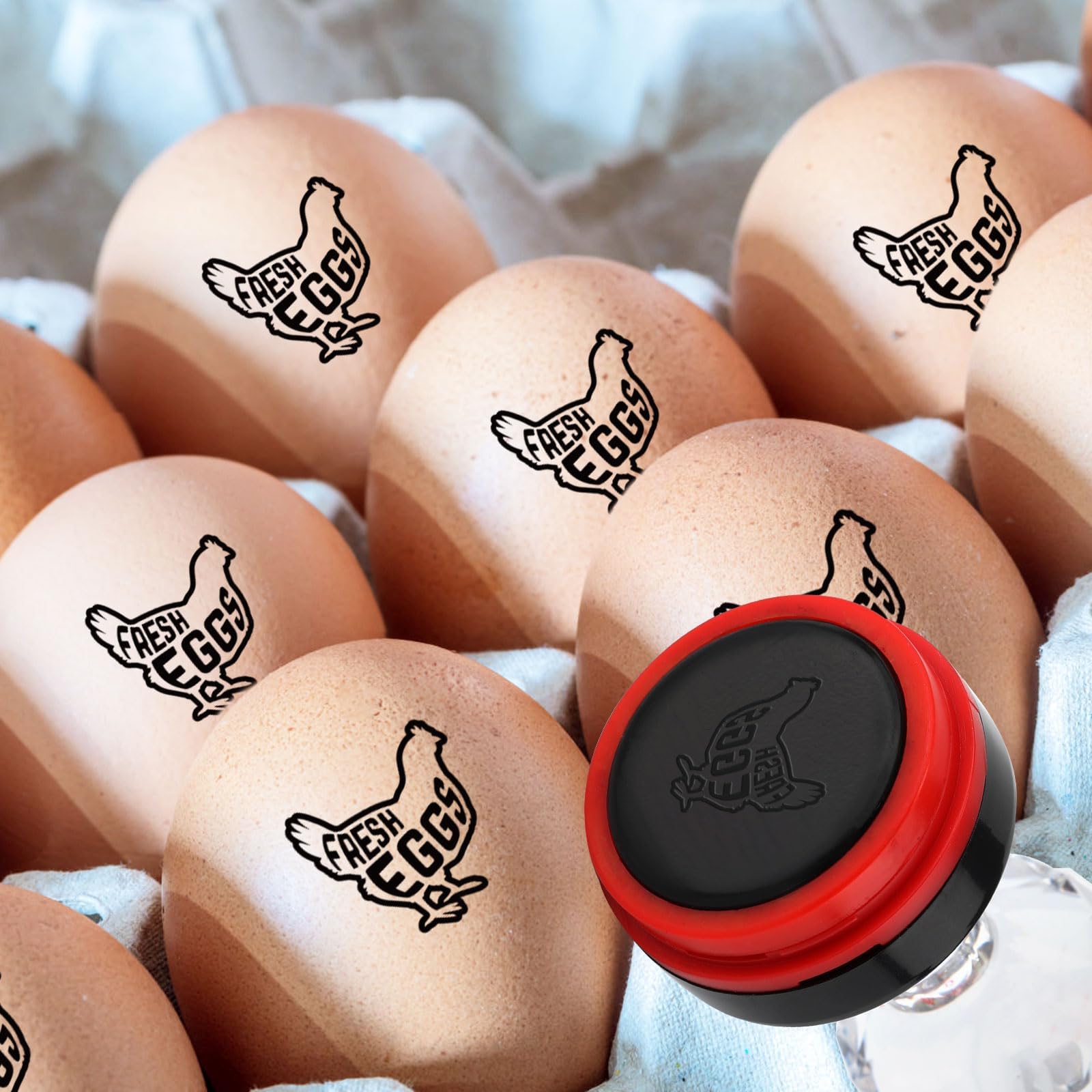 Amazon.com: Cute Egg Stamps for Fresh Eggs with Stamp Egg Stamp for ...