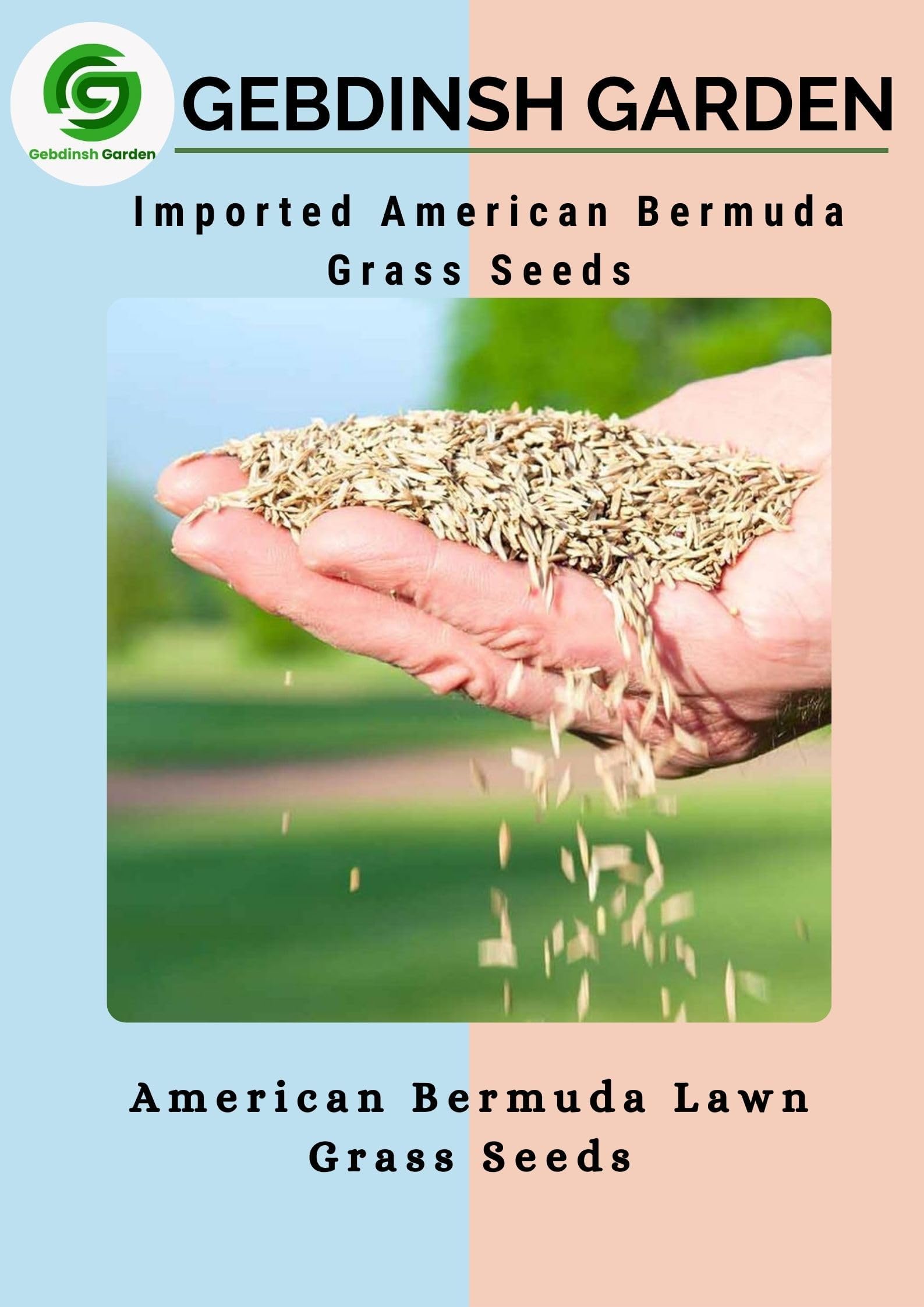 Farm Seeds Bermuda Grass - 1 Kg Seed : Amazon.in: Garden & Outdoors