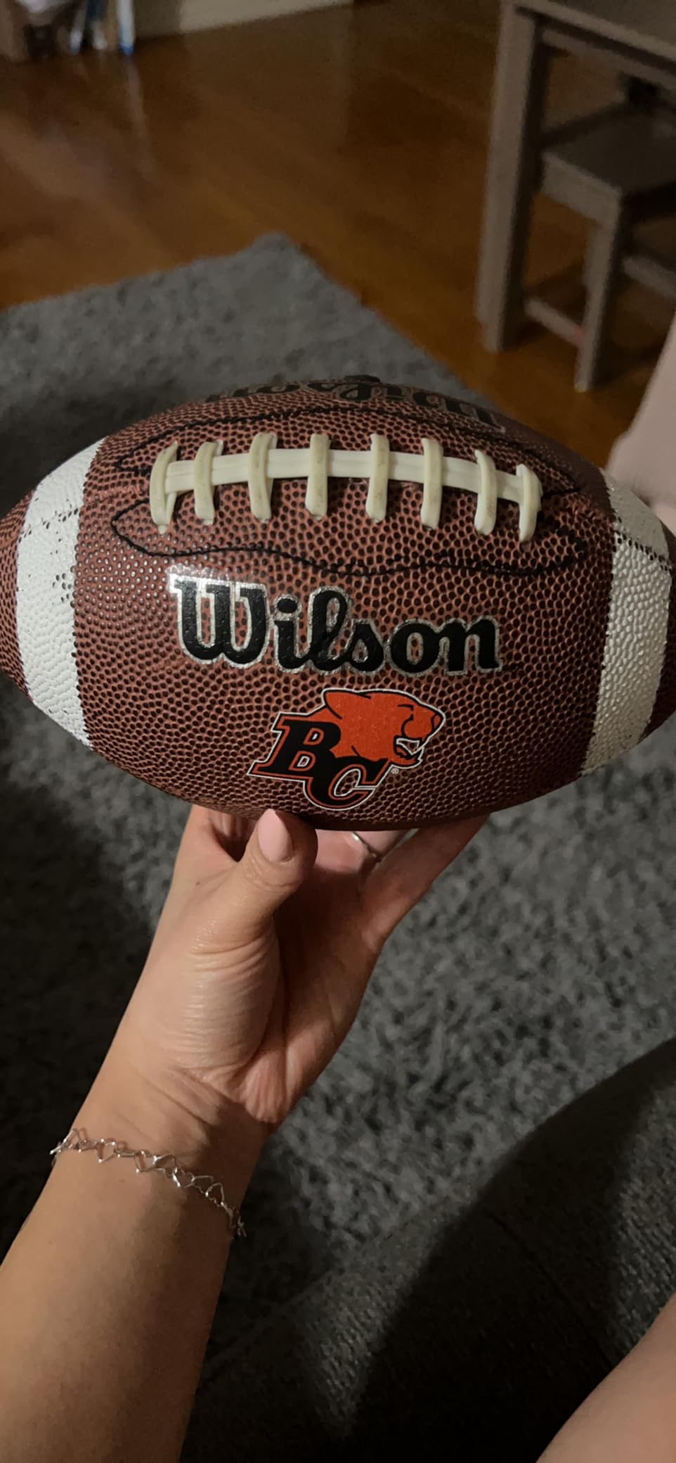 Wilson WTF1601DCBC CFL Team Mini-BC Football, Recreational Footballs ...