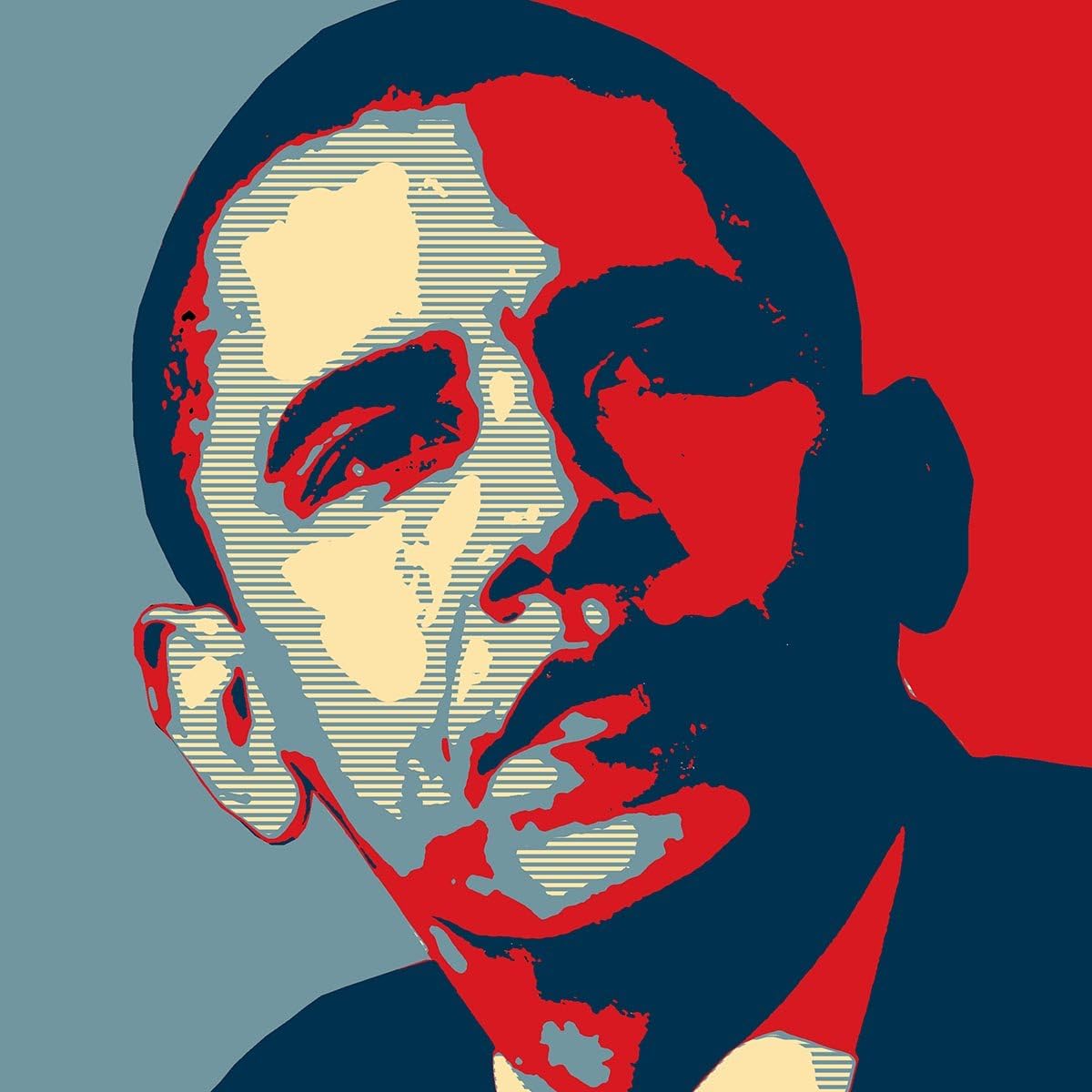 Amazon.com: Barack Obama poster wall decoration photo print 24x24 ...