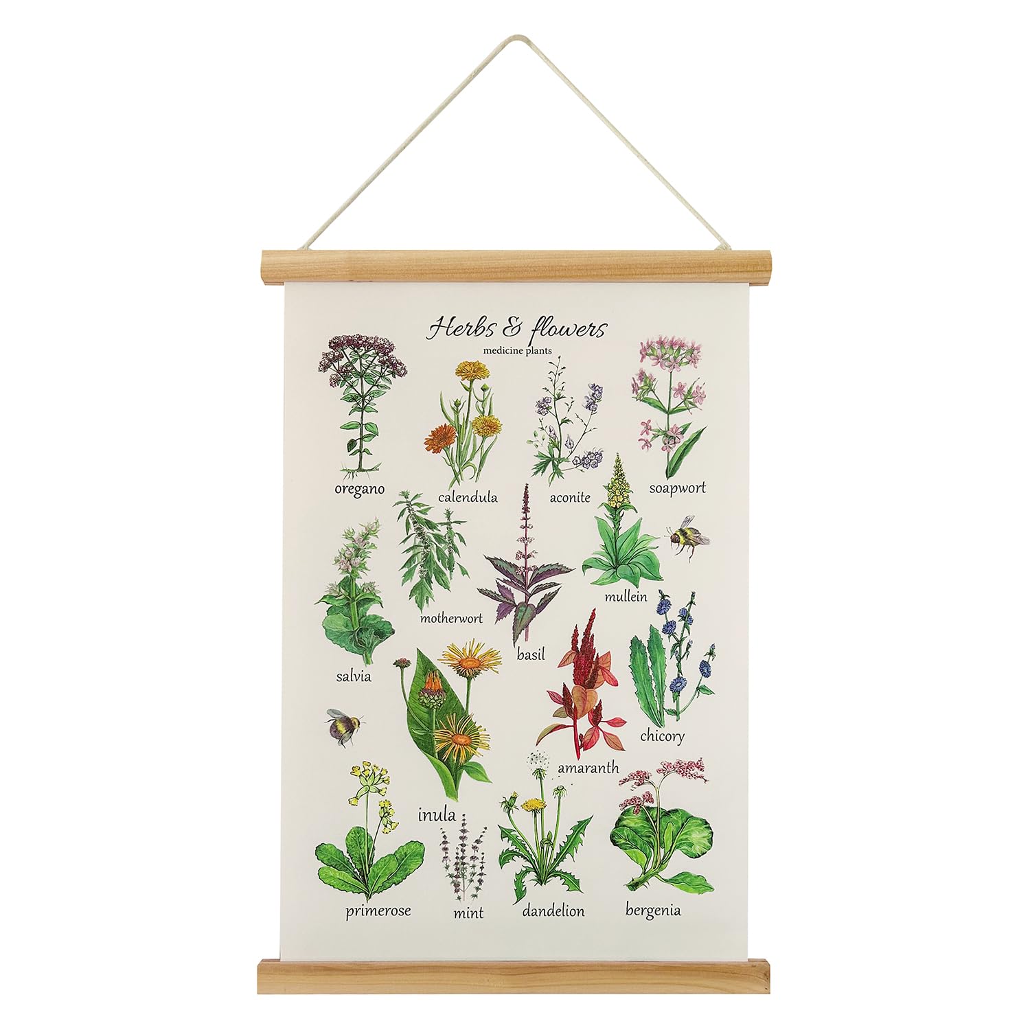 Amazon.com: XIAOAIKA Flowers Herbs Poster Wall Art Prints HD Colorful ...