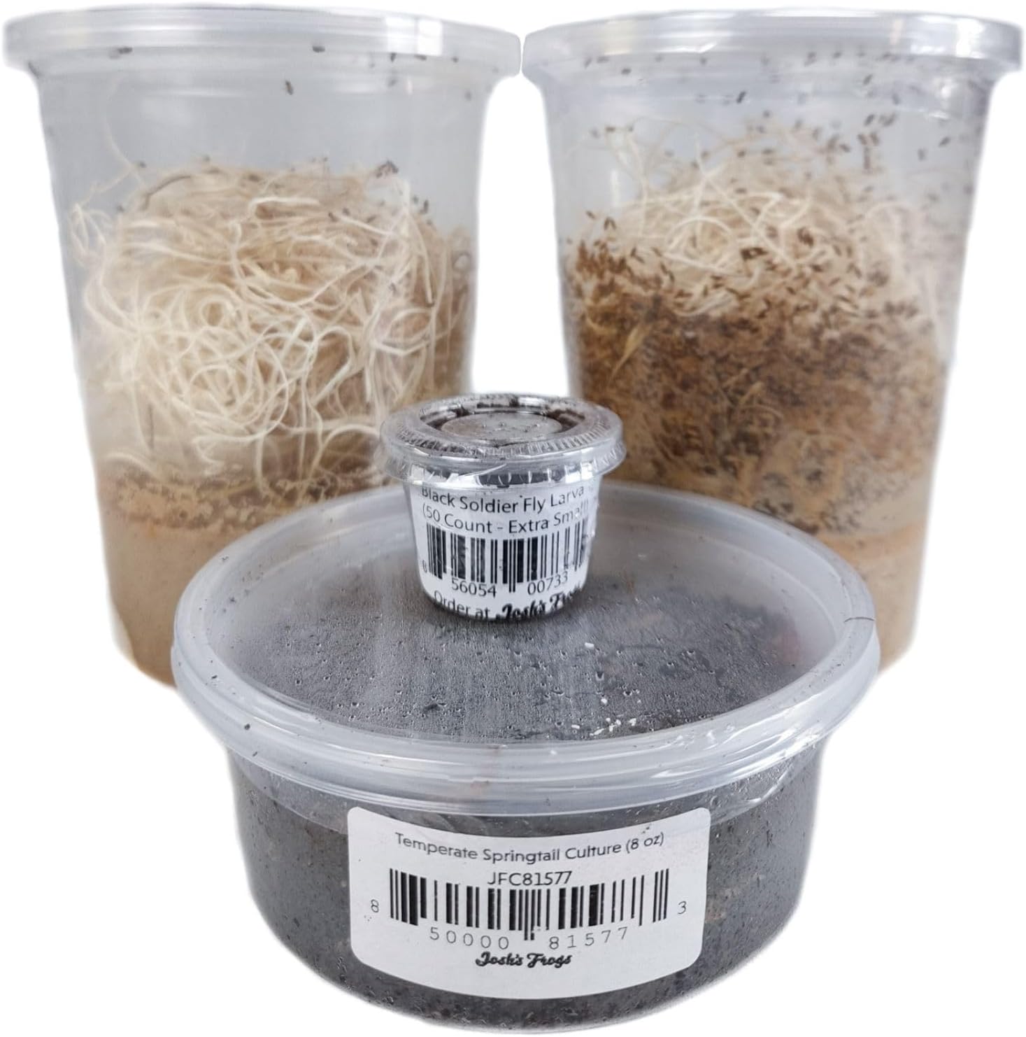 Amazon.com : Josh's Frogs Dart Frog Live Feeder Bundle : Pet Supplies