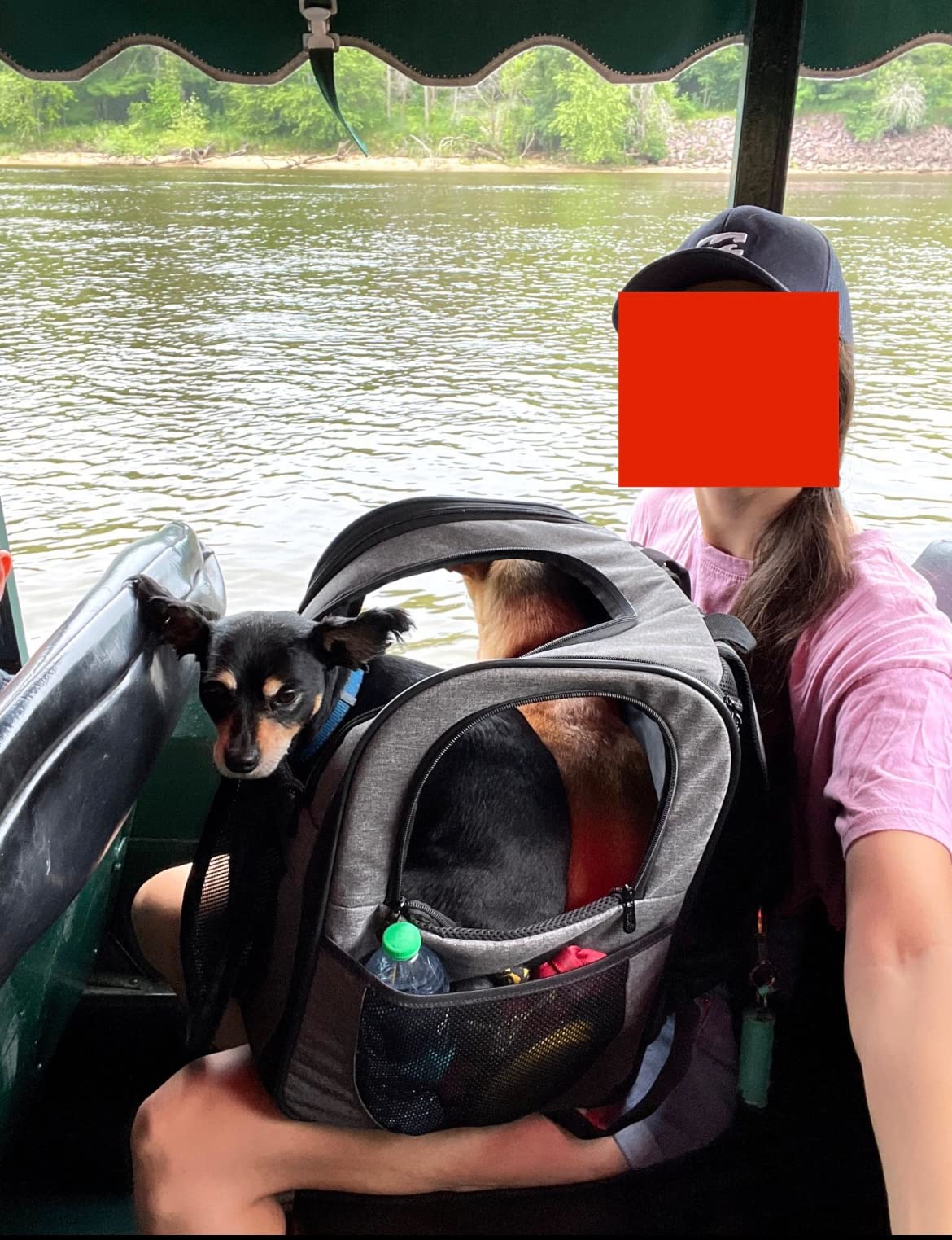 $9/mo - Finance APOLLO WALKER Pet Carrier Backpack for Small Cats and ...