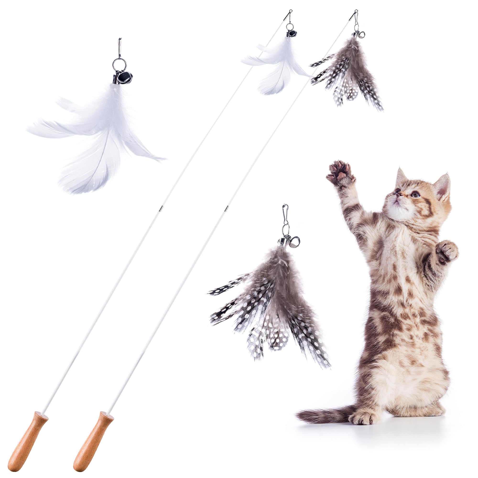 Amazon.com : Cat Park Cat Wand Toys for Indoor Cats - 2PCS Interactive ...