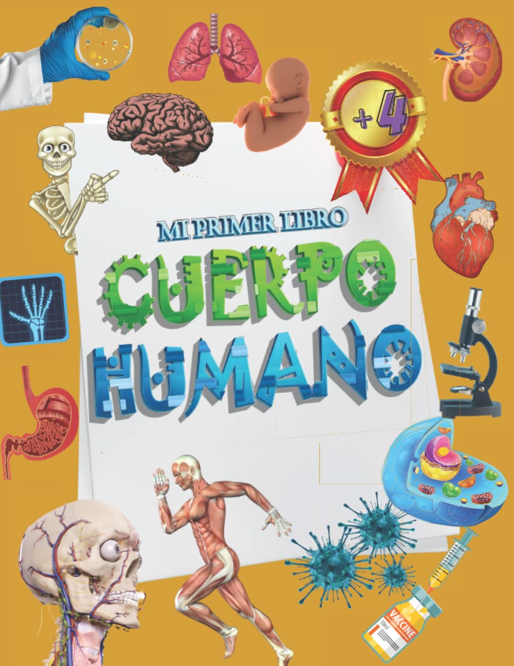 Buy Mi primer libro del cuerpo humano: Mira debajo de tu cuerpo libro ...
